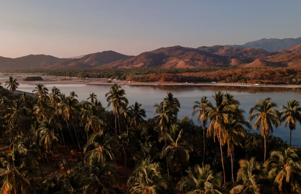 The Collective Experience: The Rise of Community-Driven Hotels — Room ...