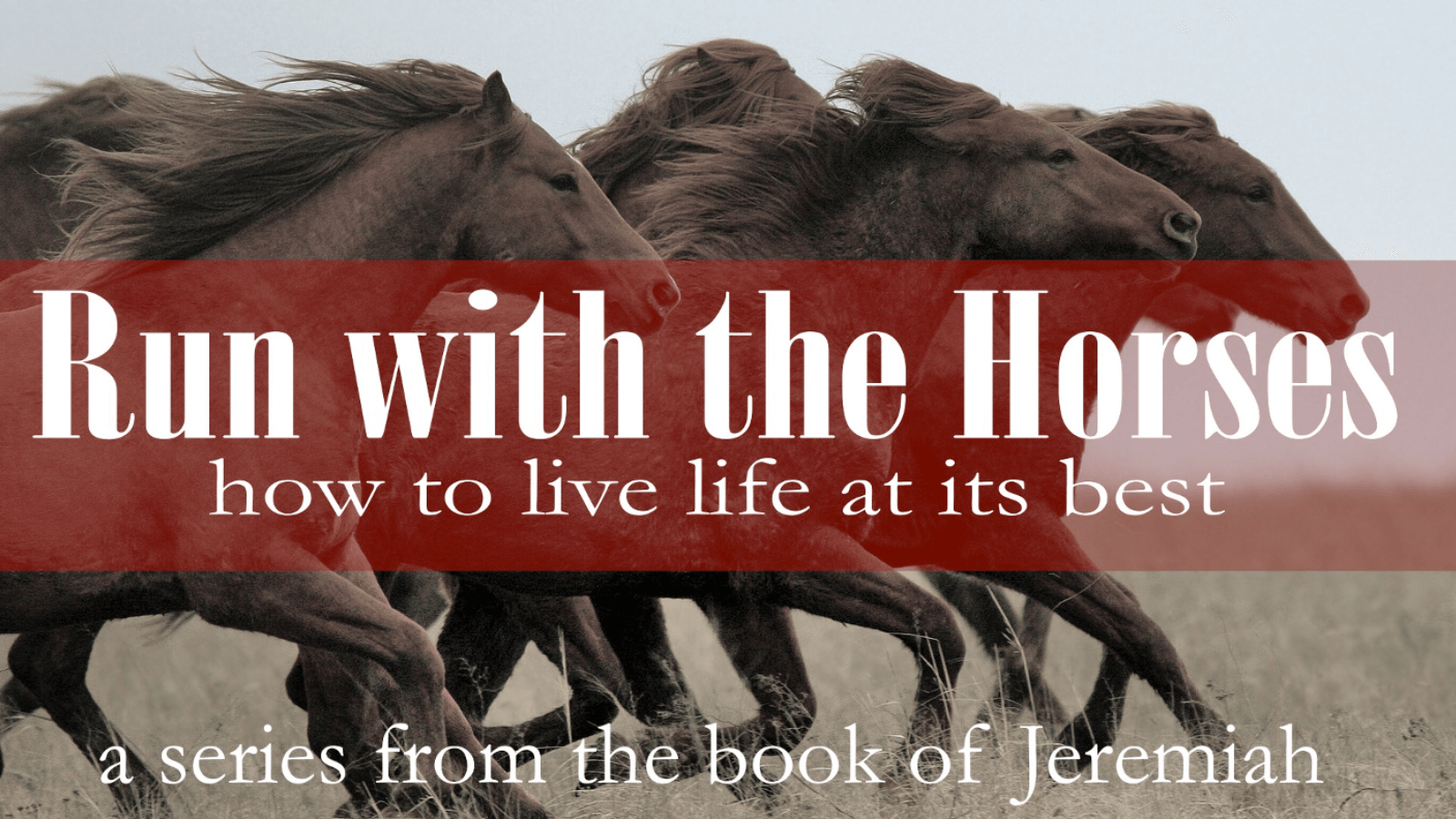 Run With The Horses (How to Live Live At Its Best), p4: A Long ...