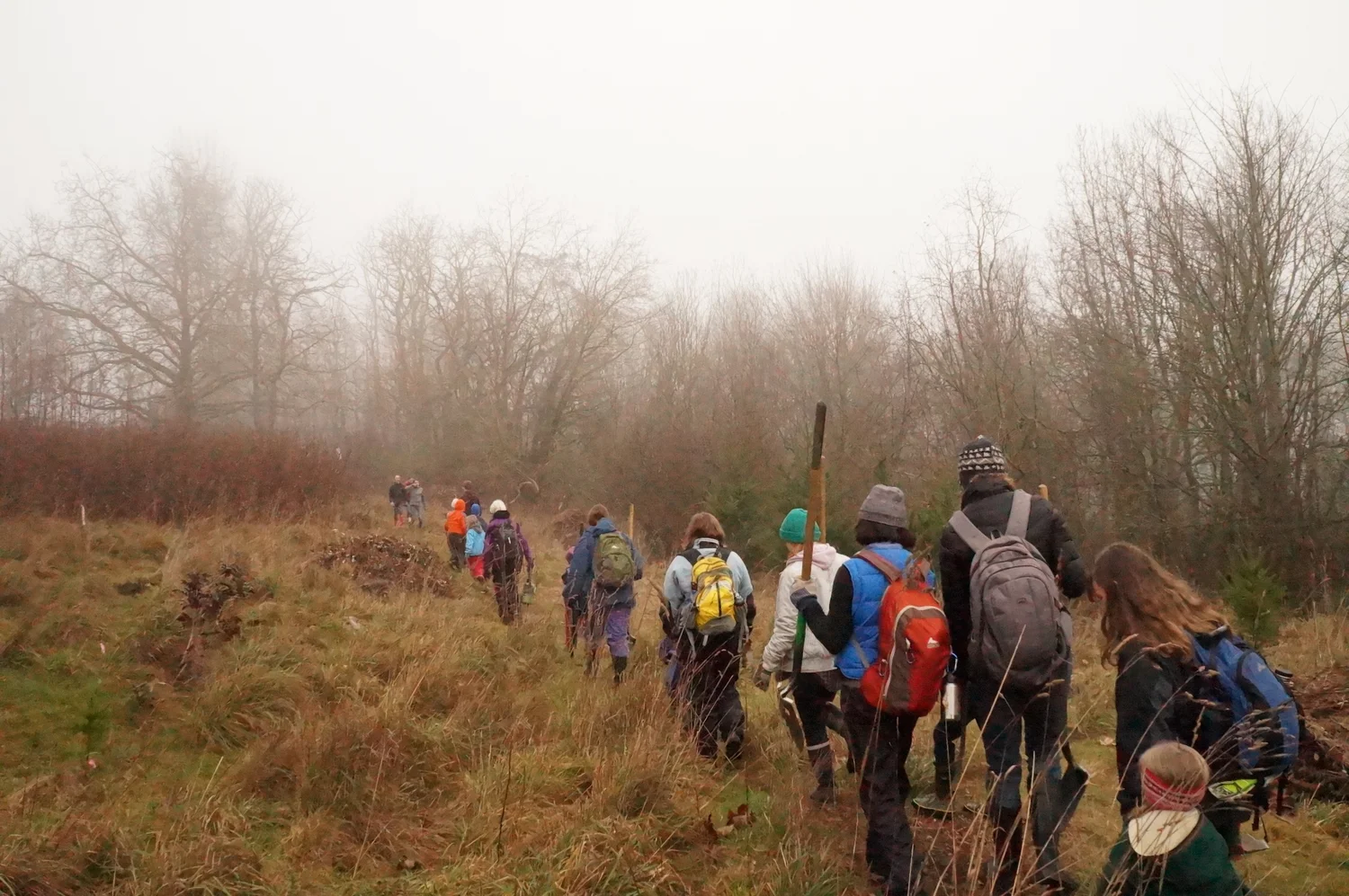 stewardship blog — Heidi Rose Watters