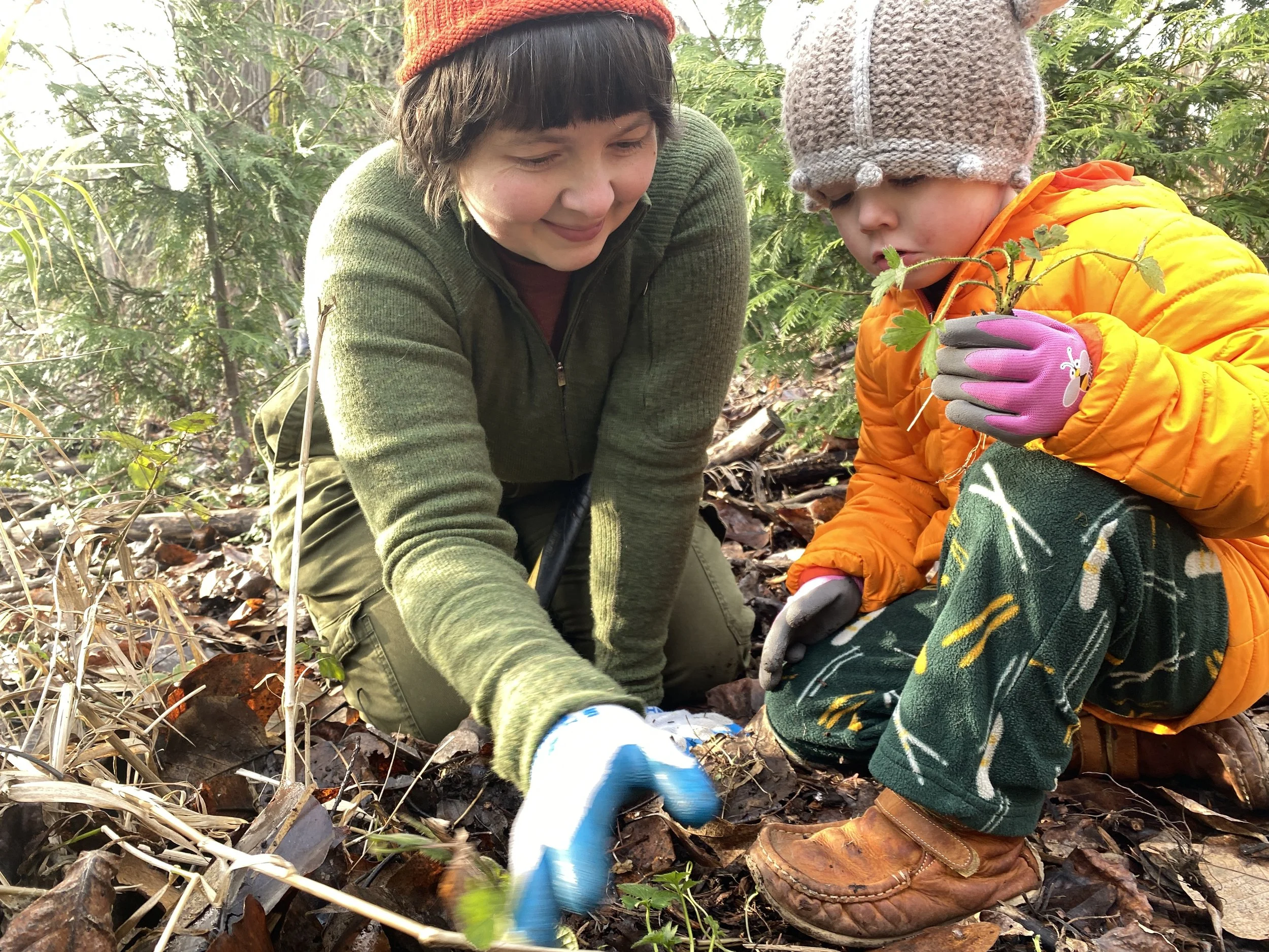 stewardship blog — Heidi Rose Watters