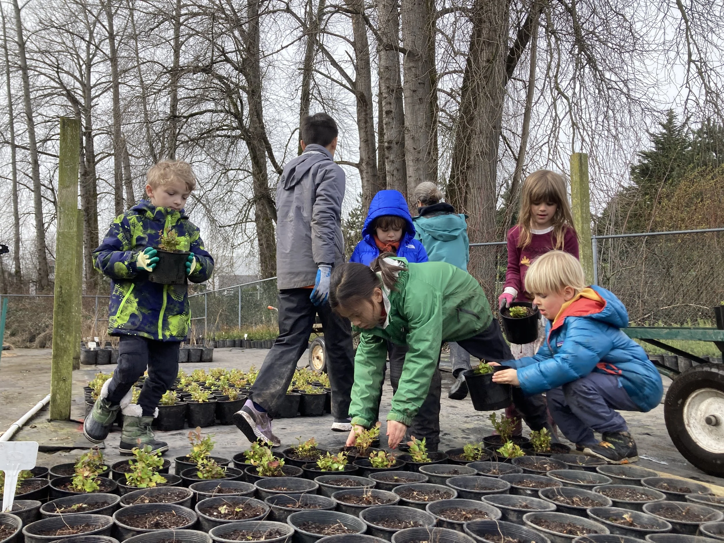 stewardship blog — Heidi Rose Watters