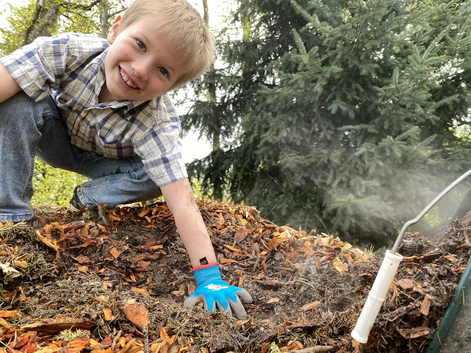 stewardship blog — Heidi Rose Watters