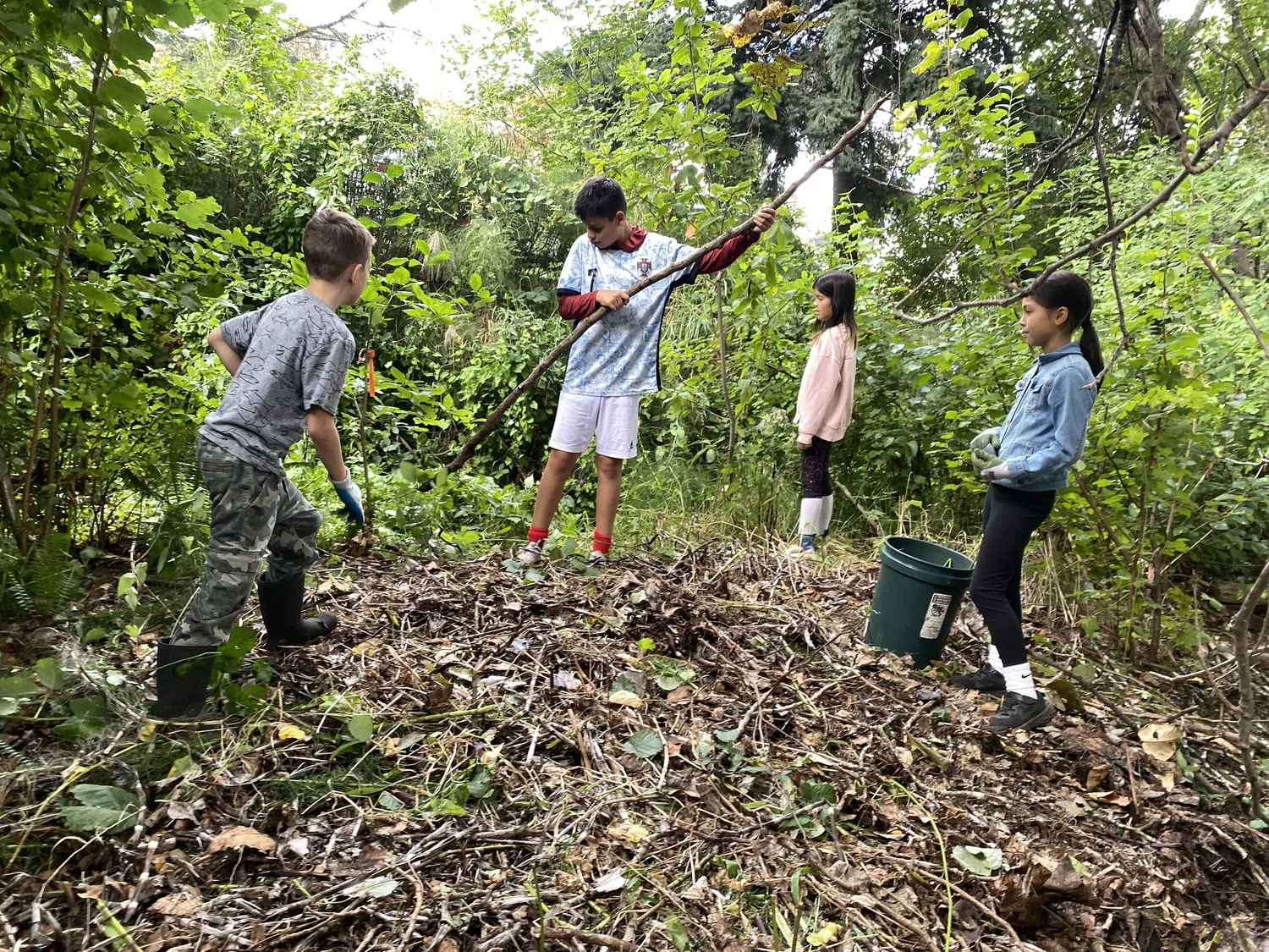 stewardship blog — Heidi Rose Watters