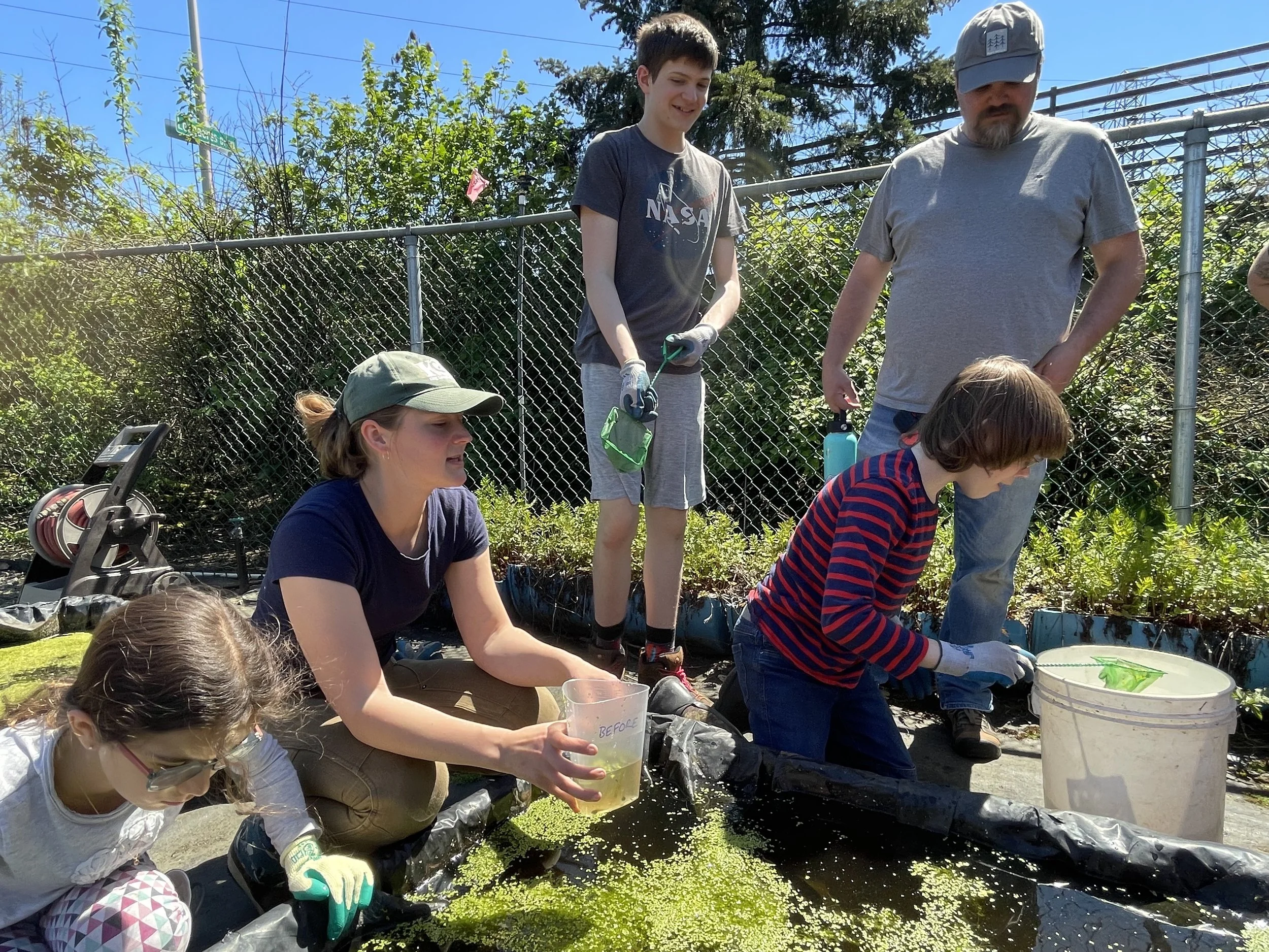 stewardship blog — Heidi Rose Watters