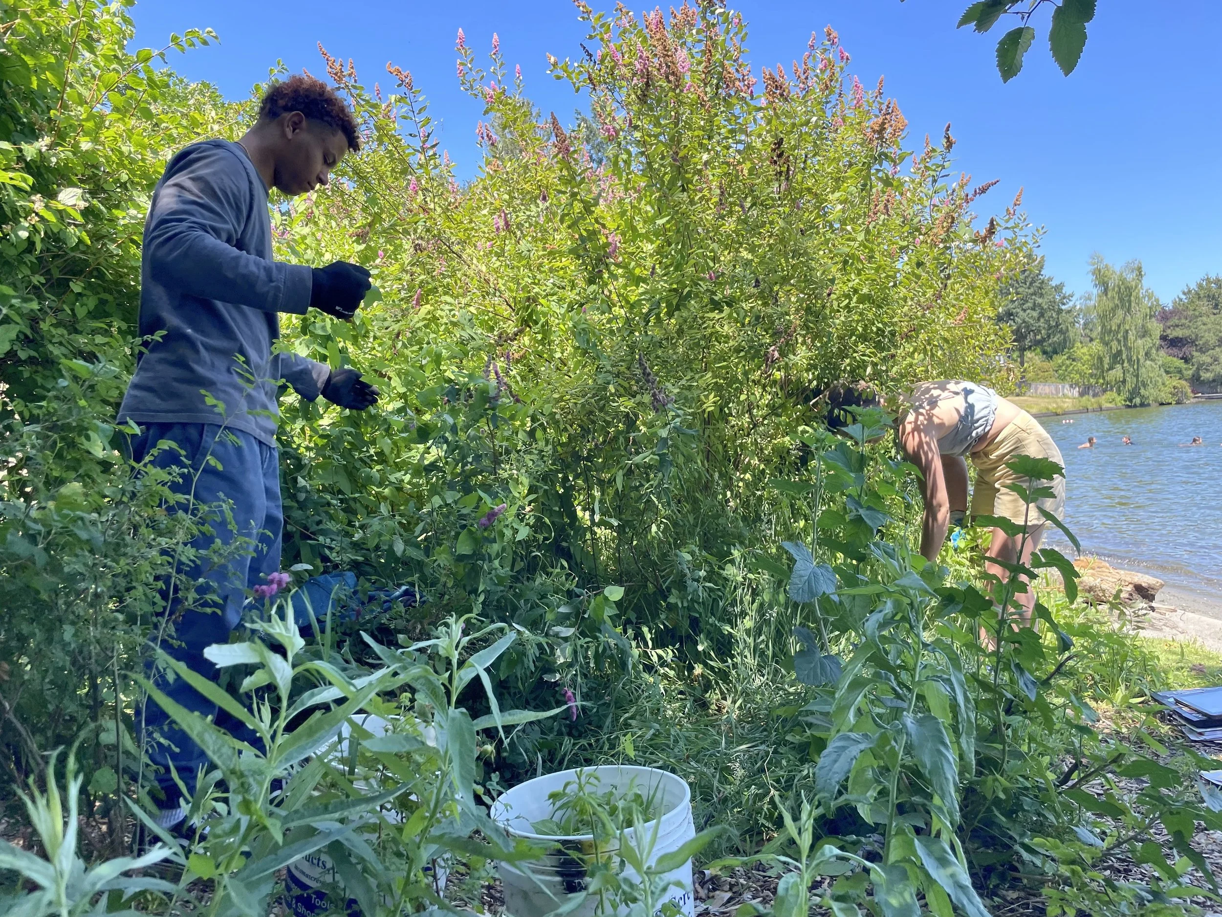 stewardship blog — Heidi Rose Watters