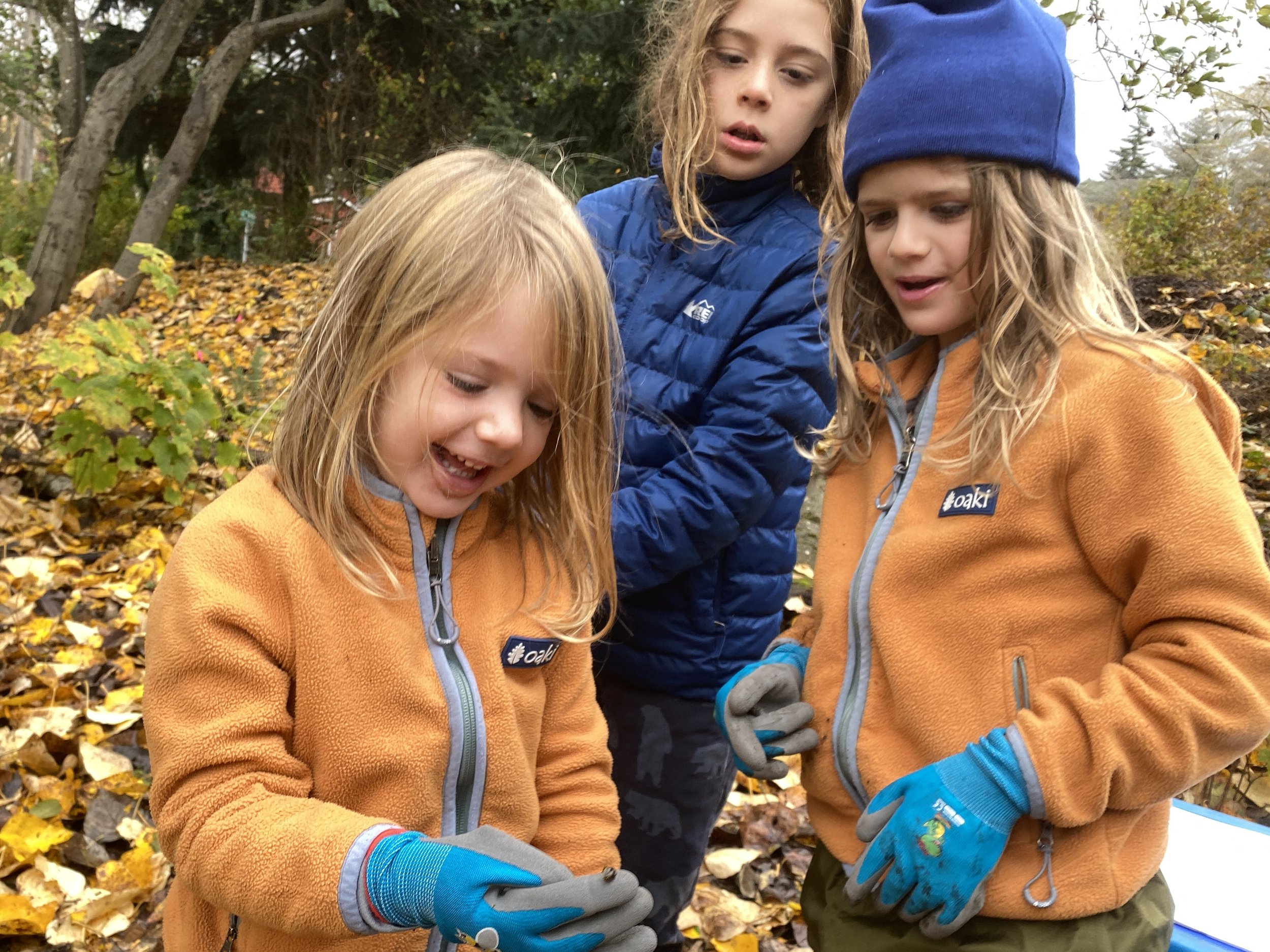 stewardship blog — Heidi Rose Watters