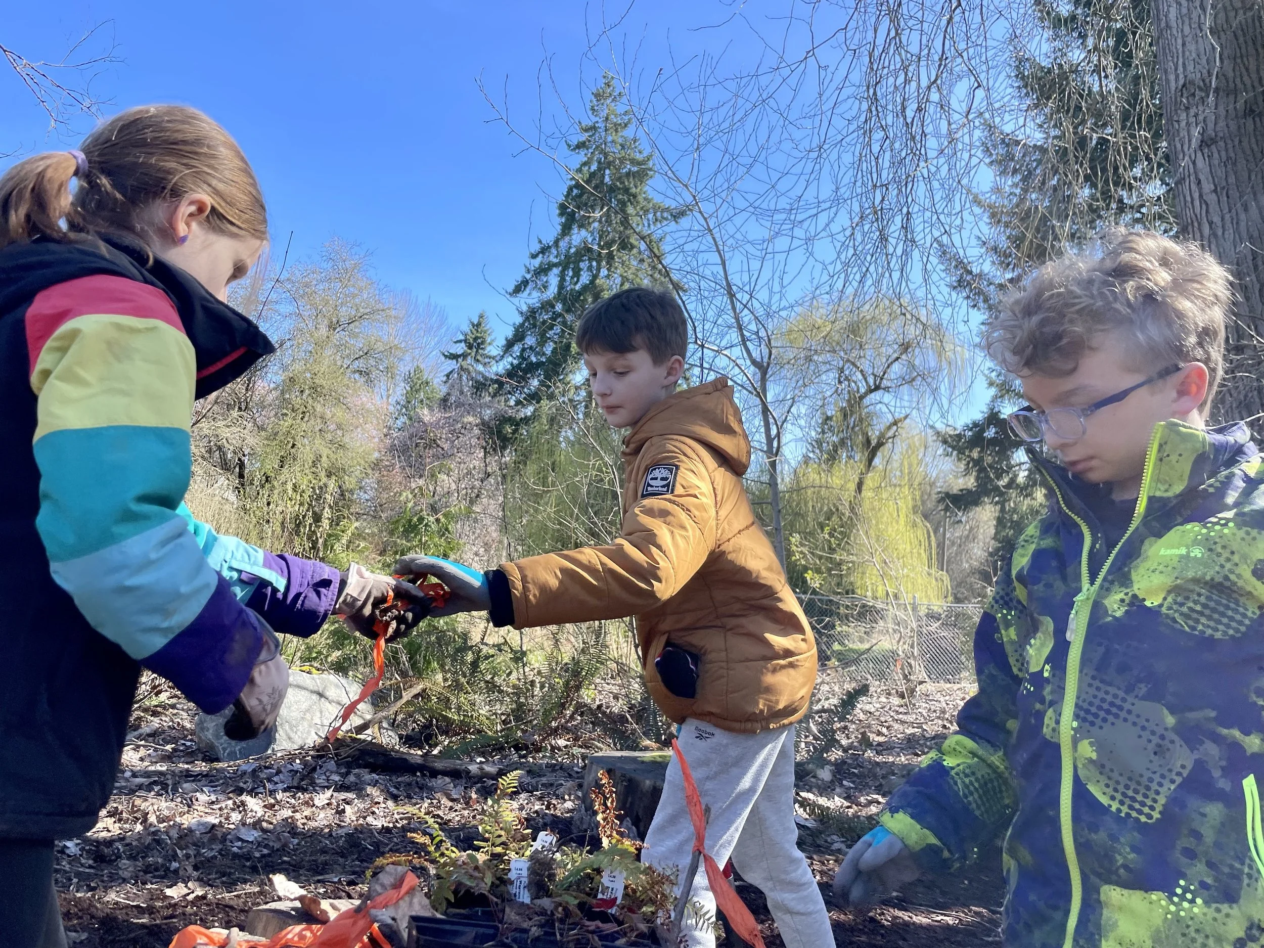 stewardship blog — Heidi Rose Watters