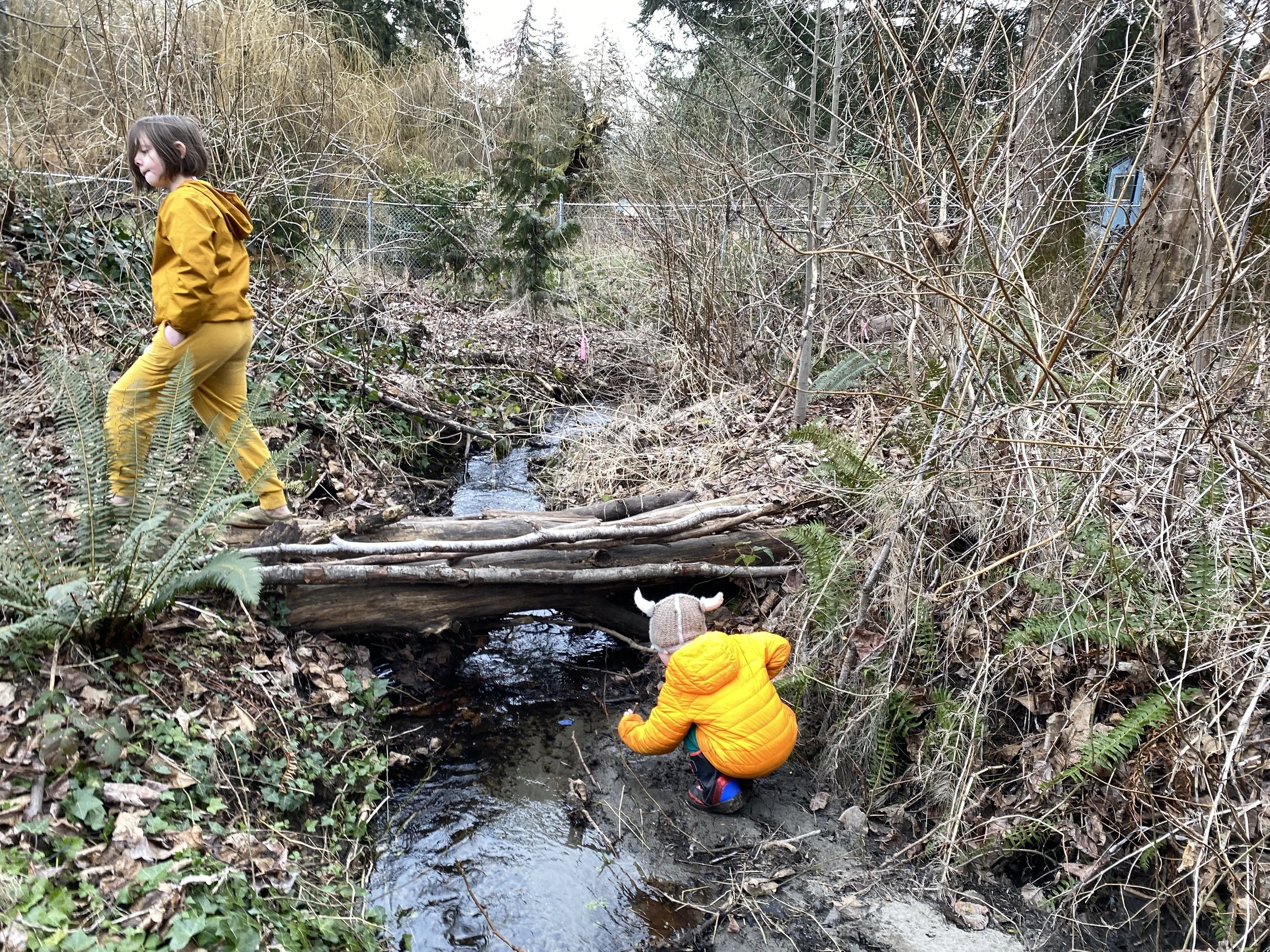 stewardship blog — Heidi Rose Watters