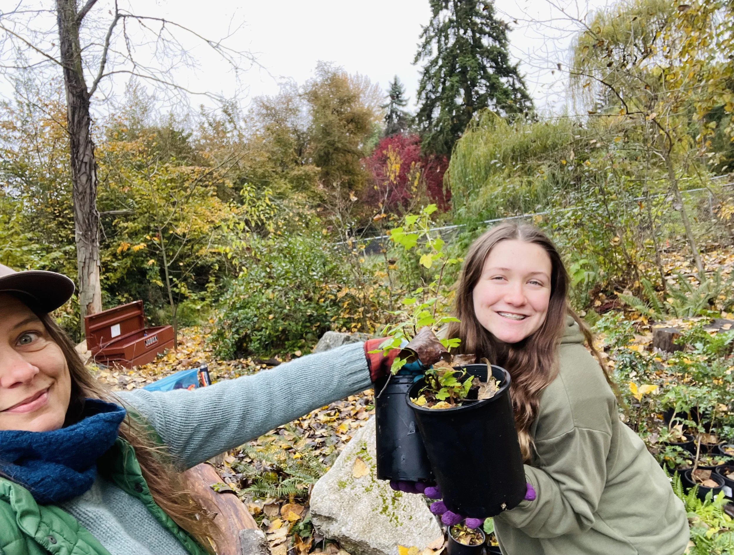 stewardship blog — Heidi Rose Watters