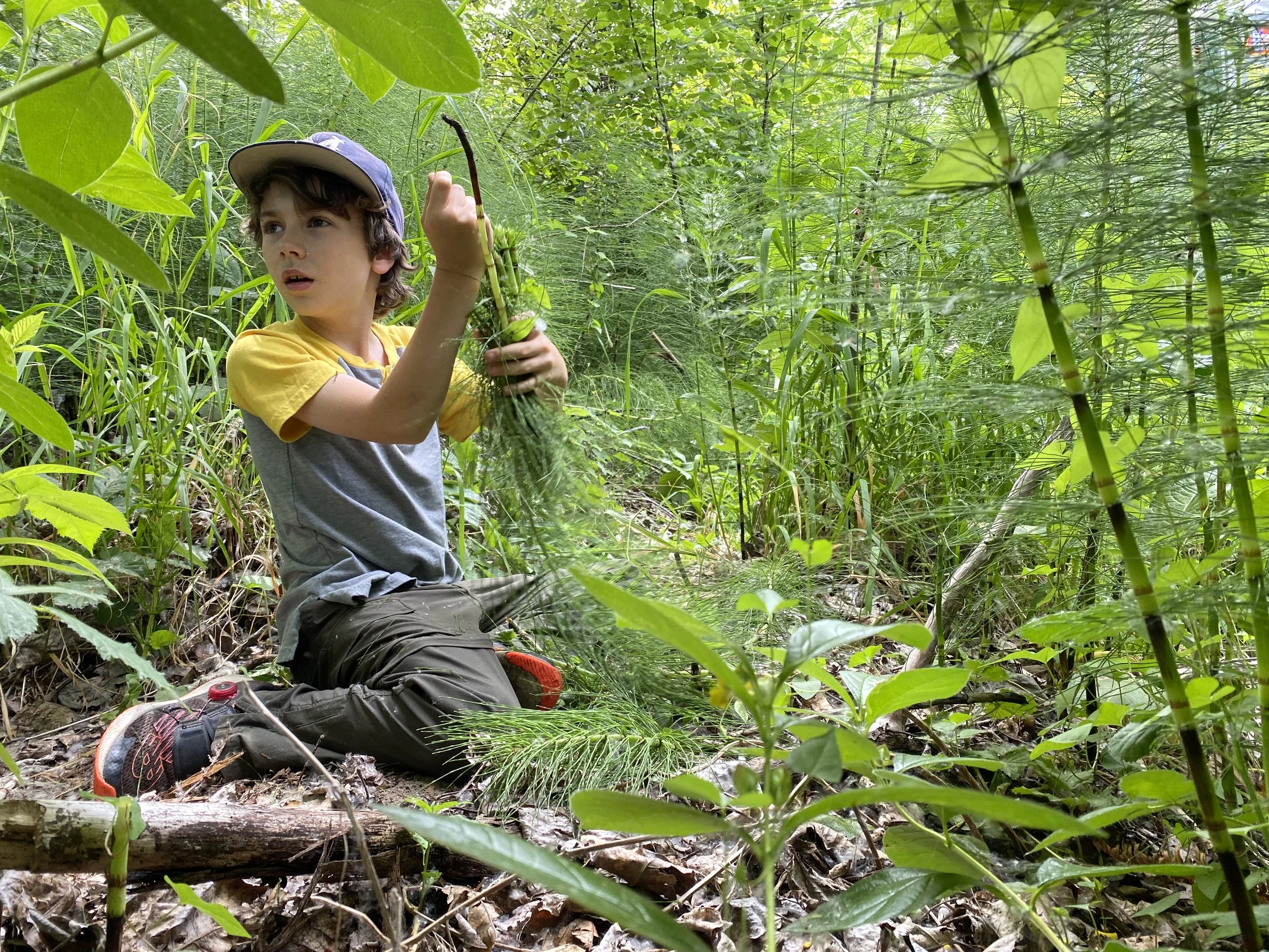 stewardship blog — Heidi Rose Watters