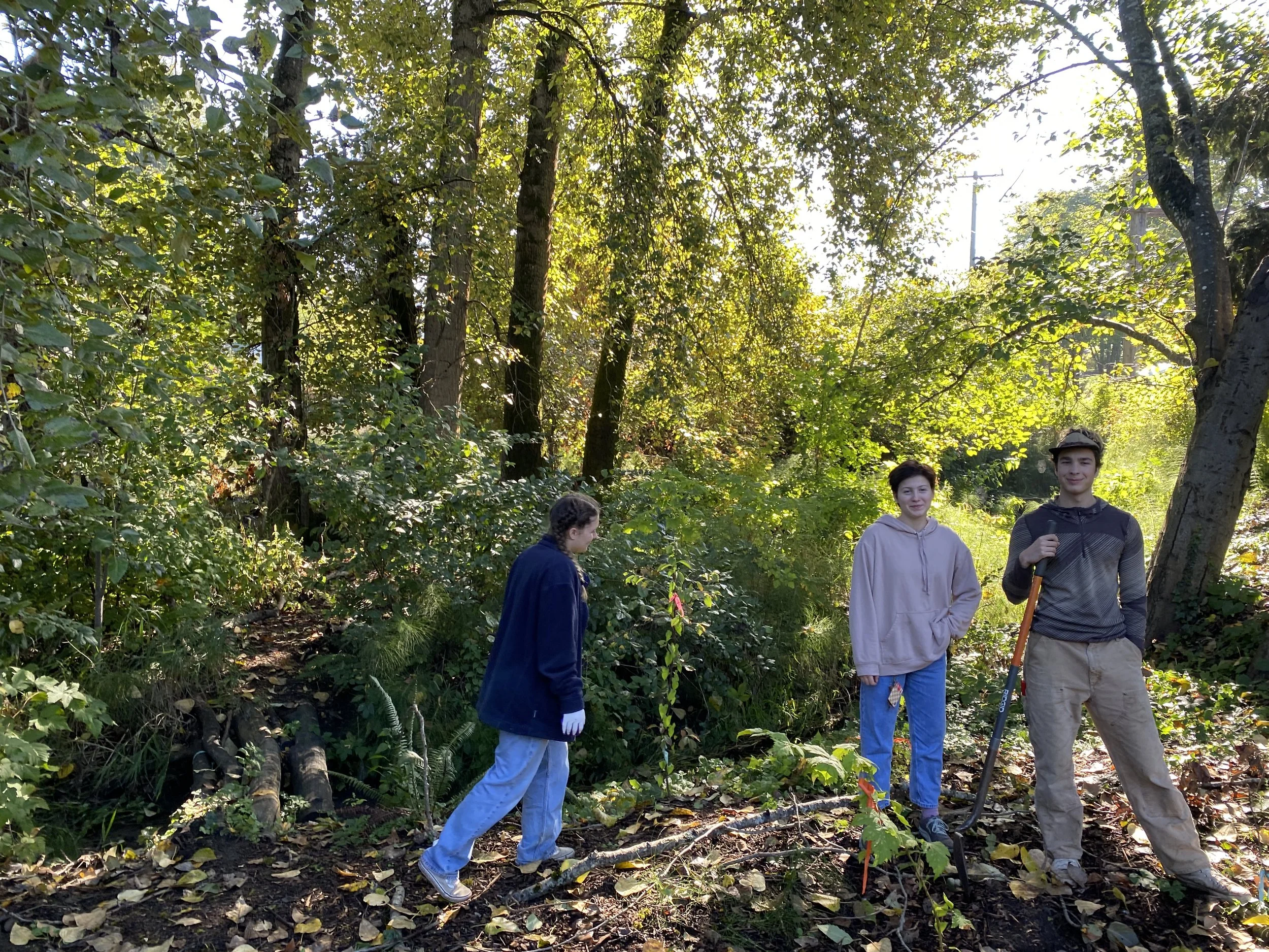 stewardship blog — Heidi Rose Watters