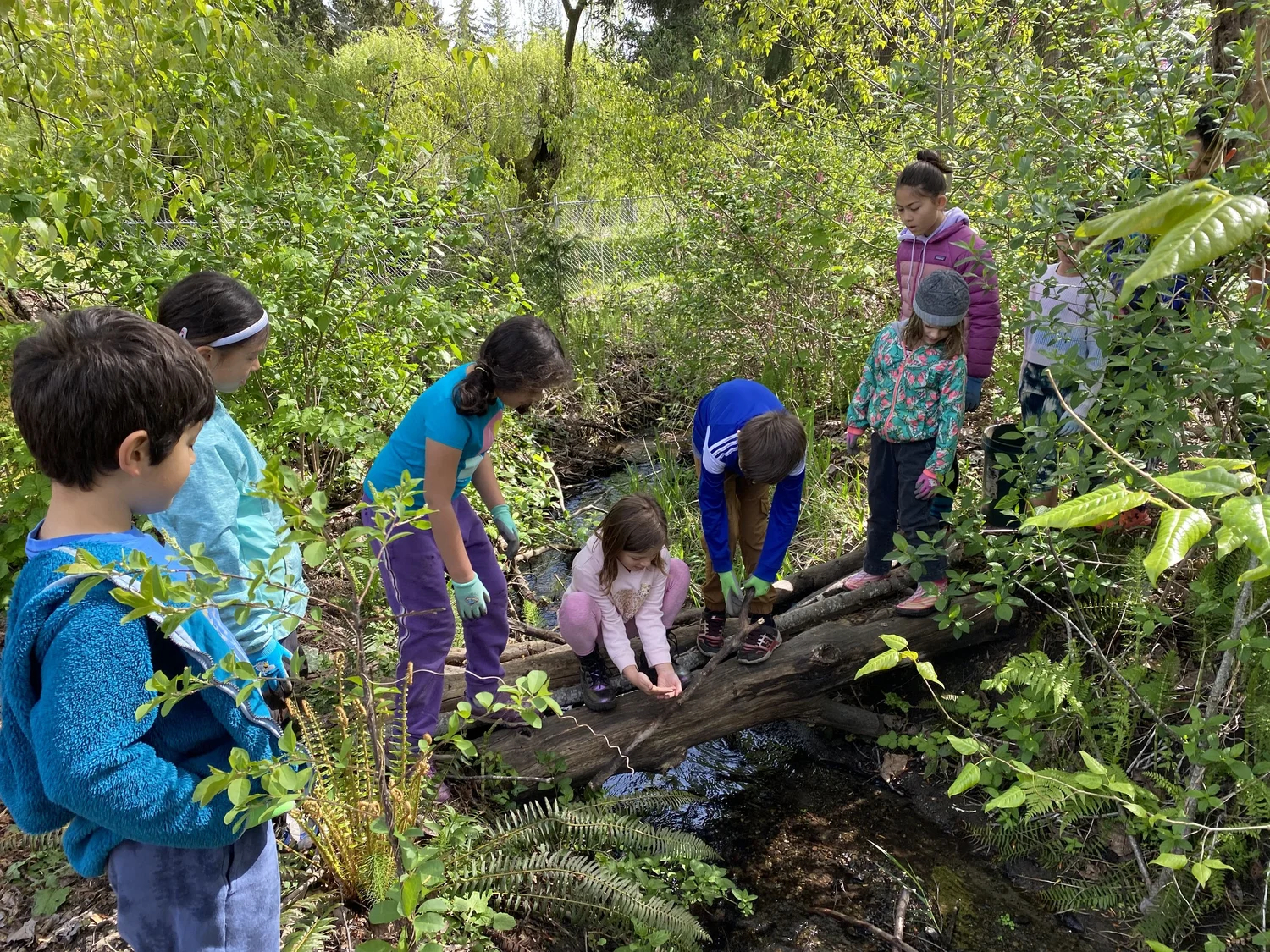 stewardship blog — Heidi Rose Watters