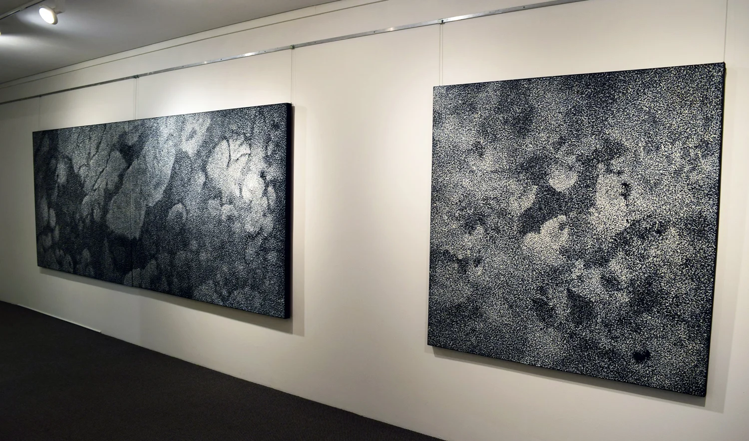Online Gallery | Floating Marks - Dragica Milunovic — Mundaring Arts Centre