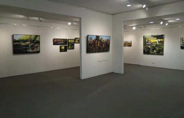 Online Gallery | Drawn — Mundaring Arts Centre