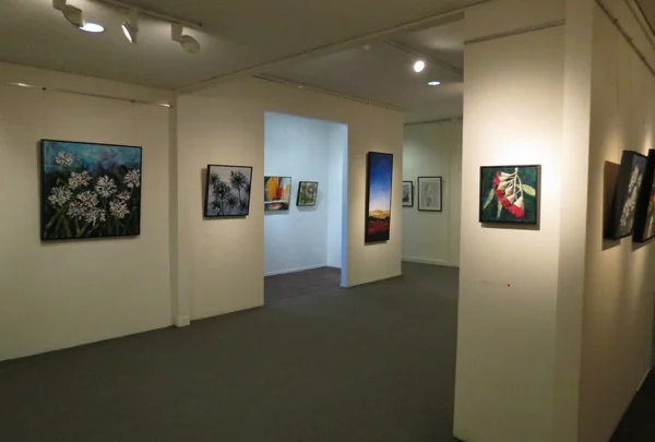Online Gallery | Drawn — Mundaring Arts Centre