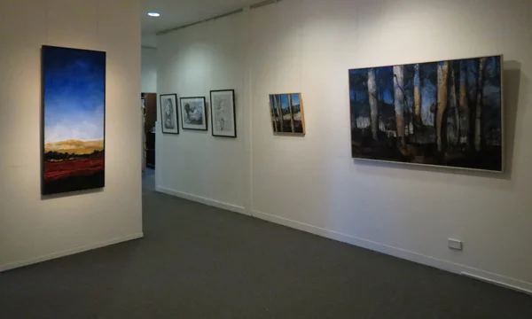 Online Gallery | Drawn — Mundaring Arts Centre
