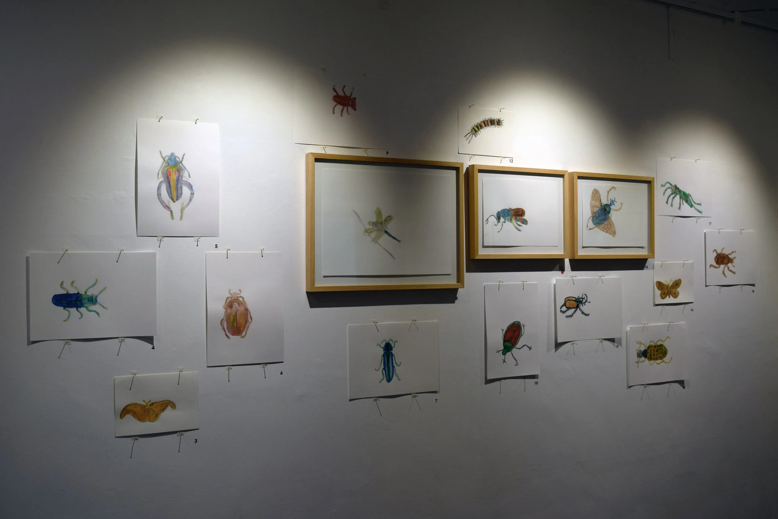 Online Gallery | Specimens — Mundaring Arts Centre