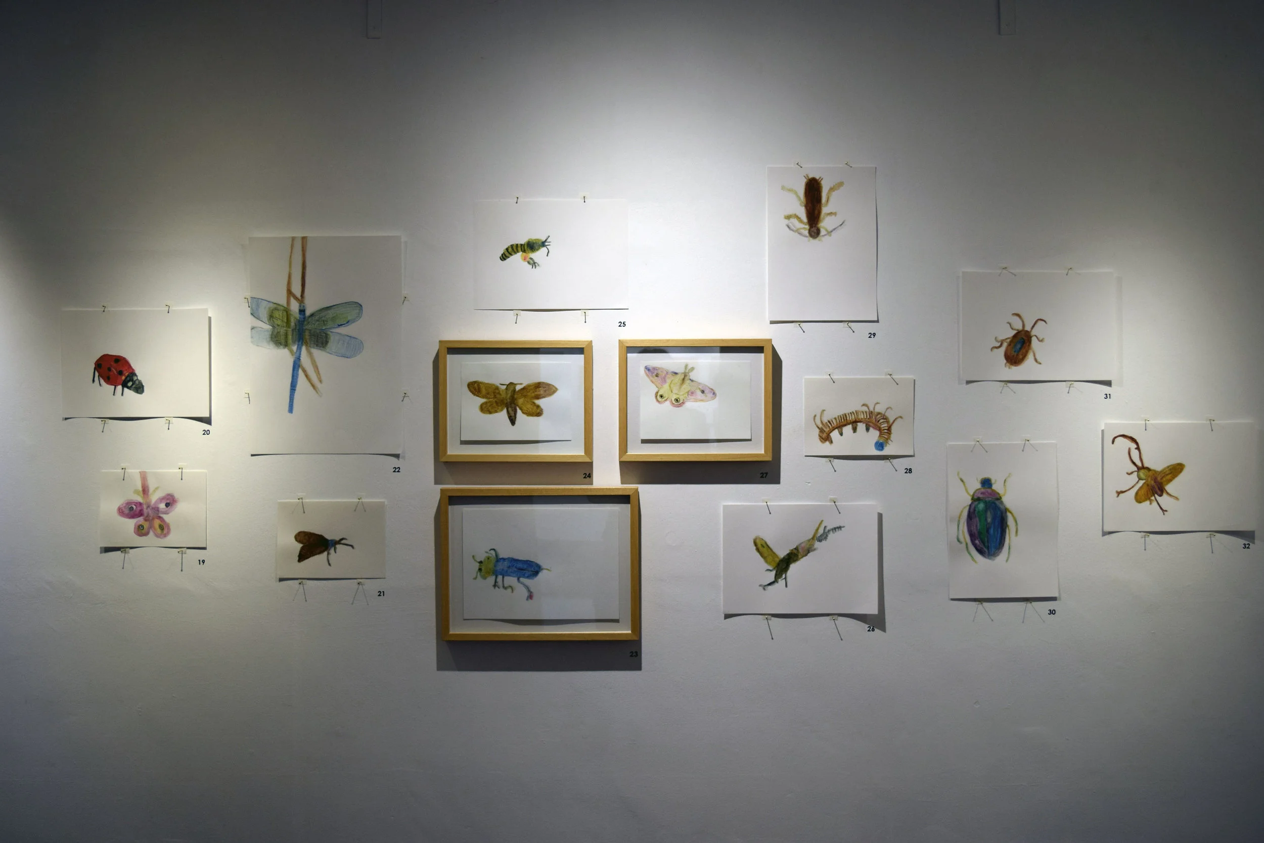 Online Gallery | Specimens — Mundaring Arts Centre