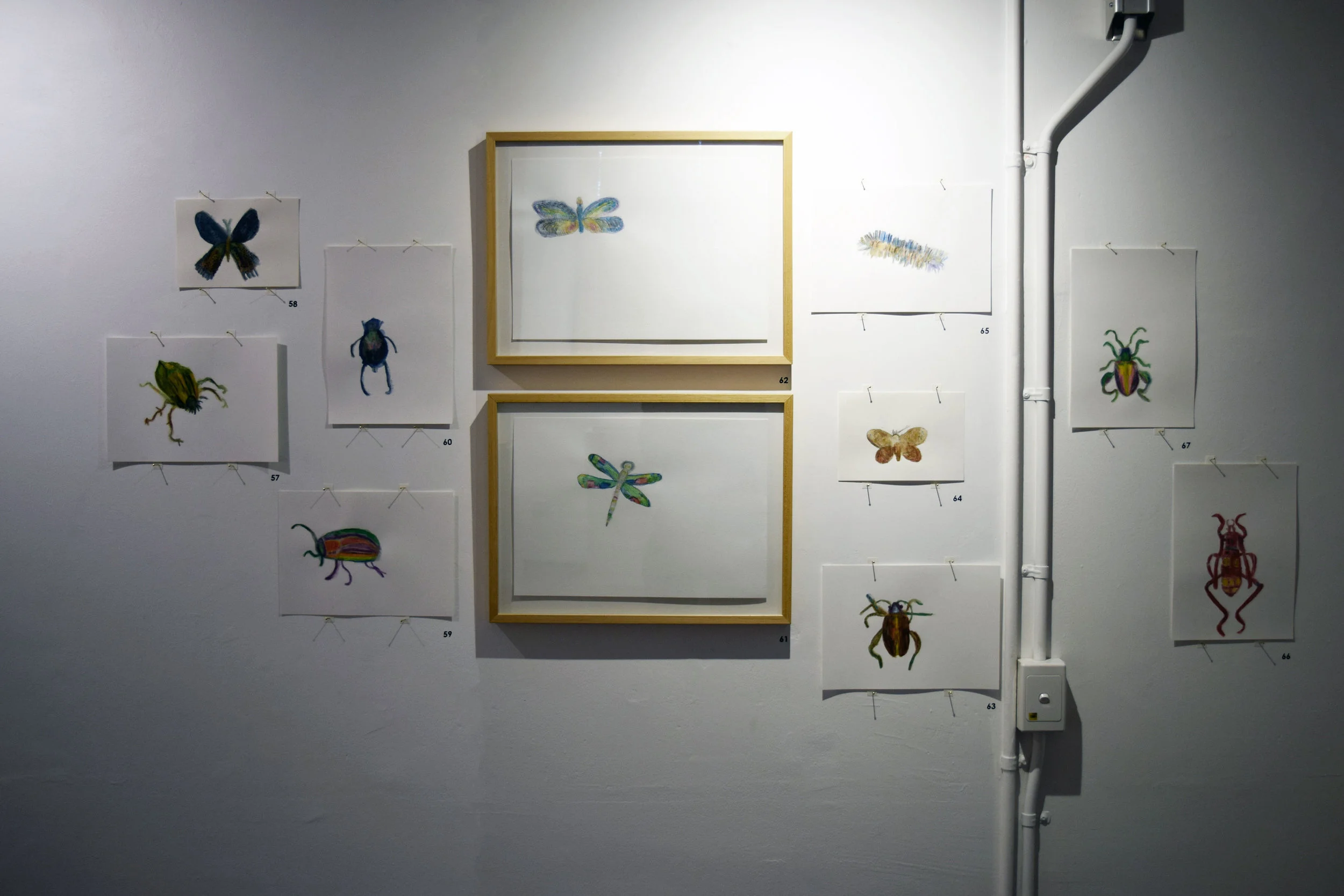 Online Gallery | Specimens — Mundaring Arts Centre