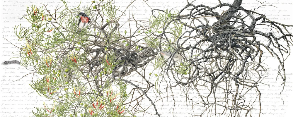 Nikulinsky Naturally — Mundaring Arts Centre