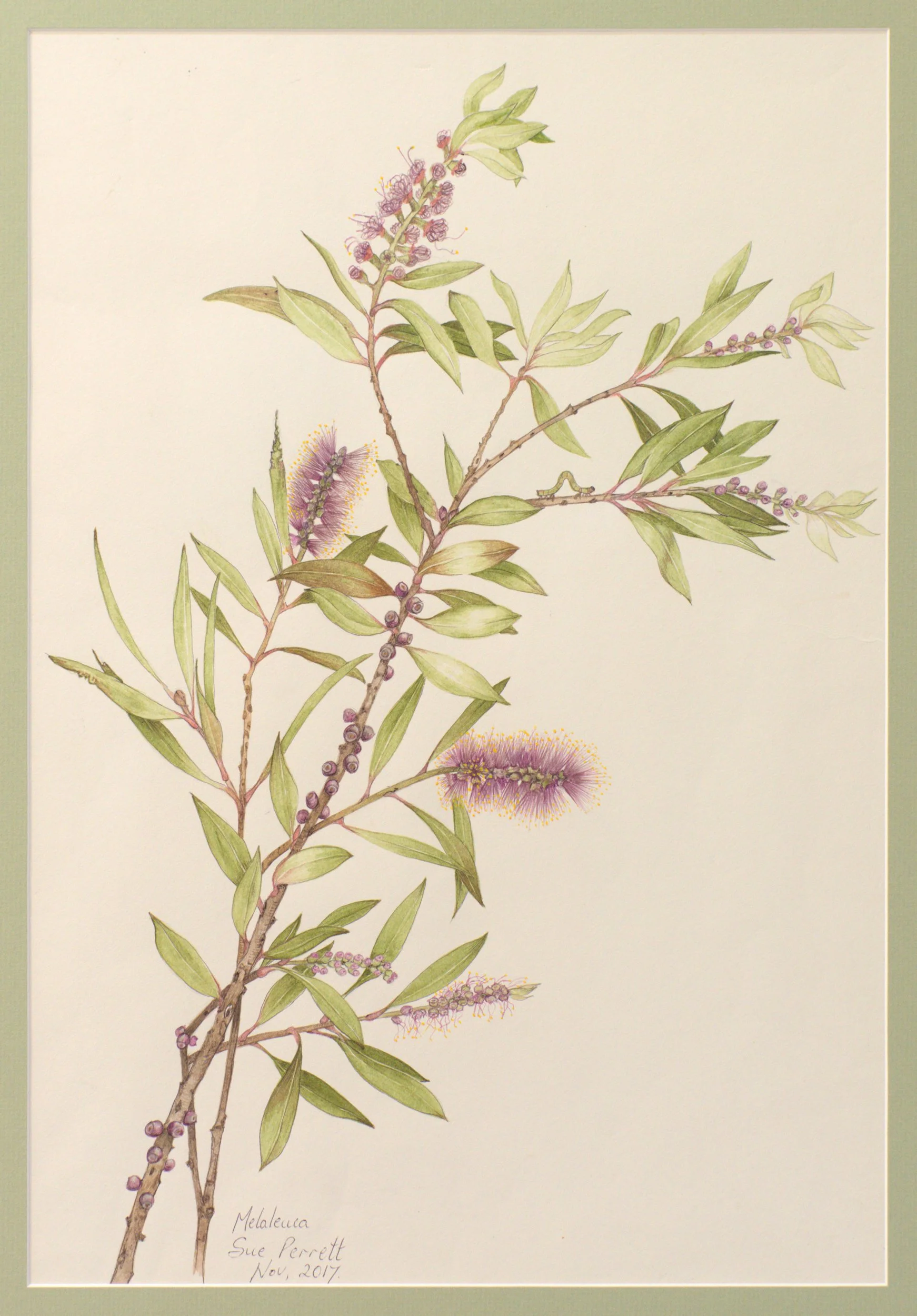 Online Galleries — Mundaring Arts Centre