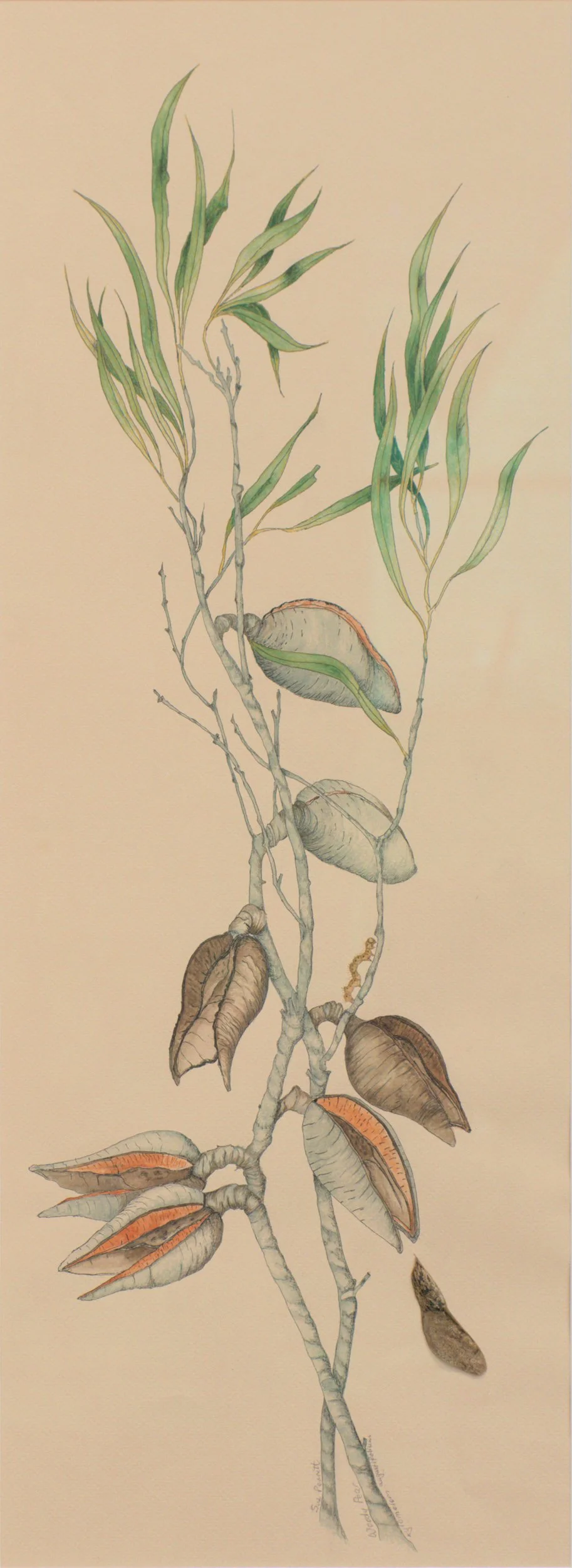 Online Galleries — Mundaring Arts Centre