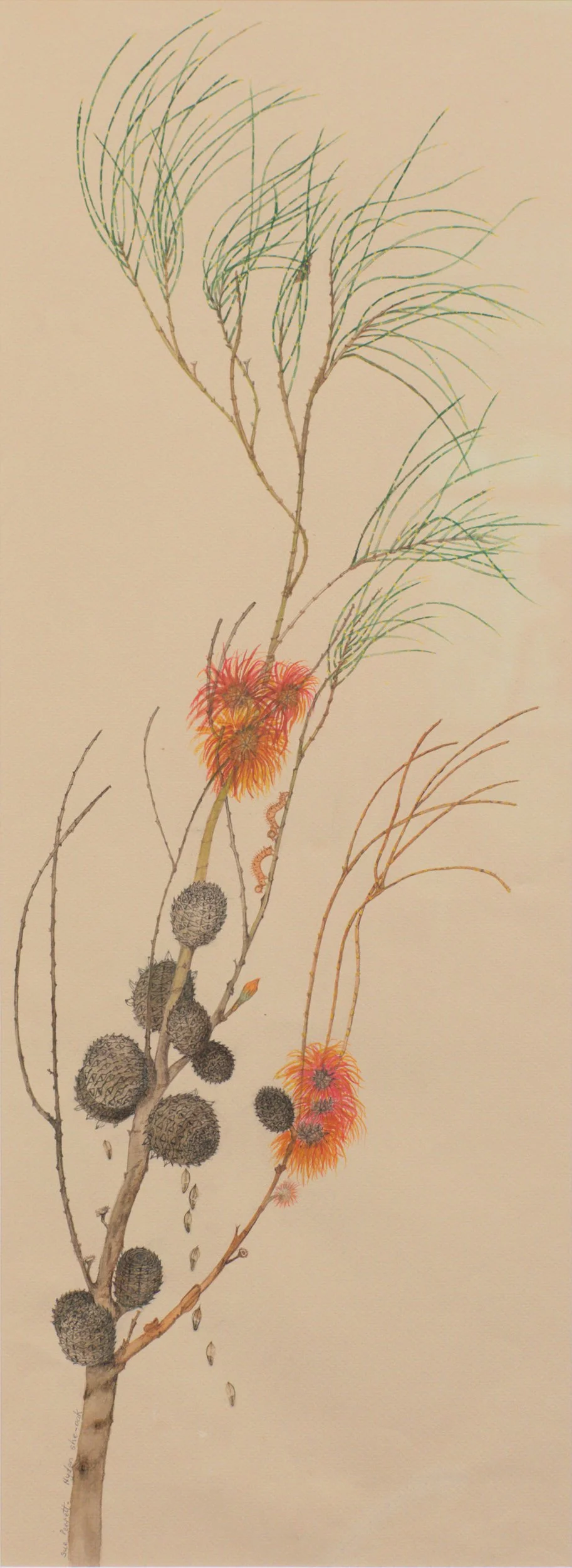 The Sum of Us — Mundaring Arts Centre