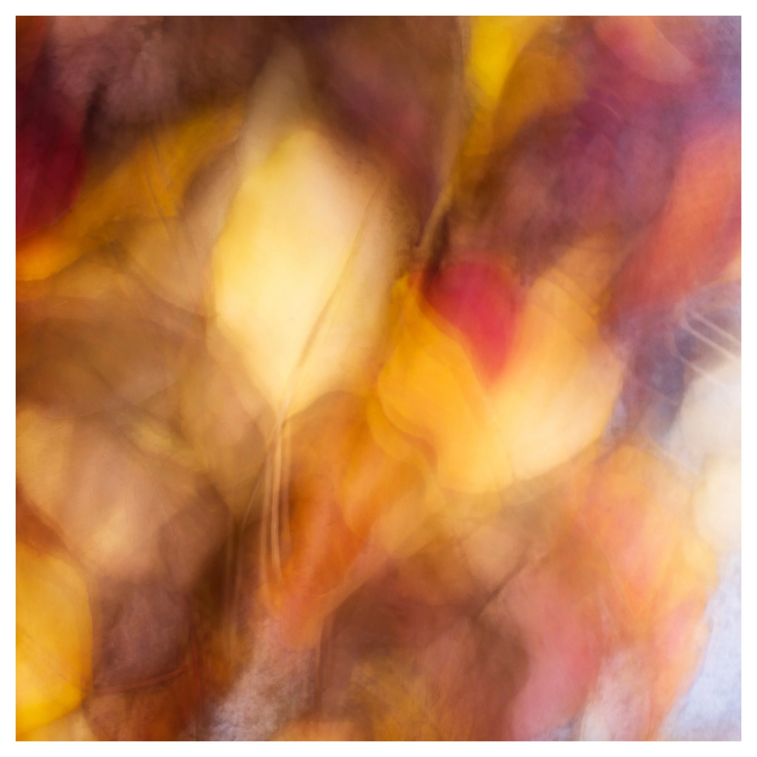 The Language of Colour Online Exhibition — Mundaring Arts Centre