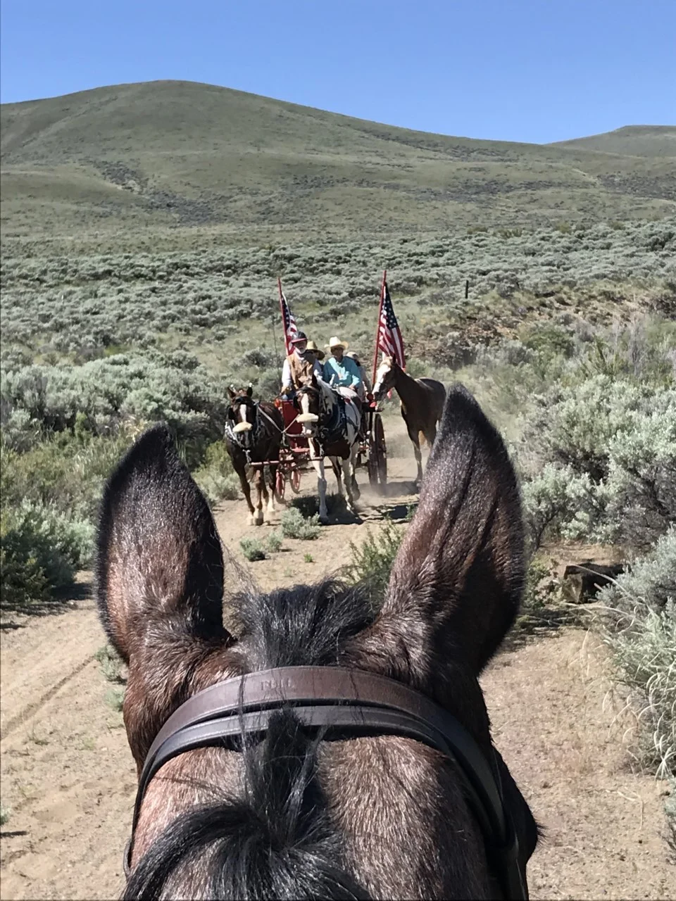 John Wayne Pioneer Wagons and Riders Association