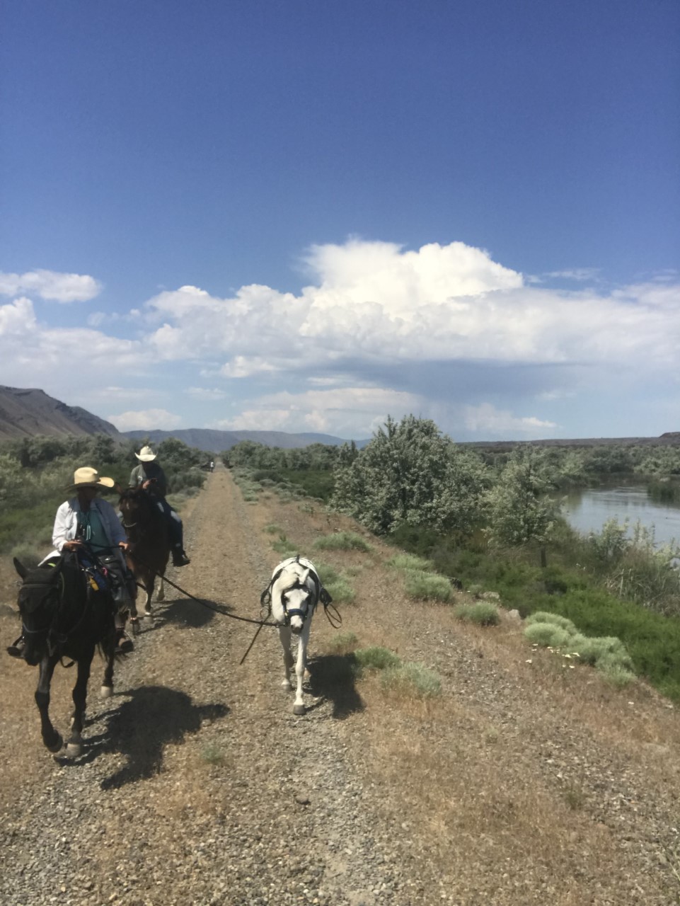 John Wayne Pioneer Wagons and Riders Association
