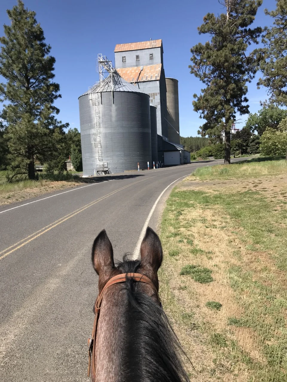 John Wayne Pioneer Wagons and Riders Association