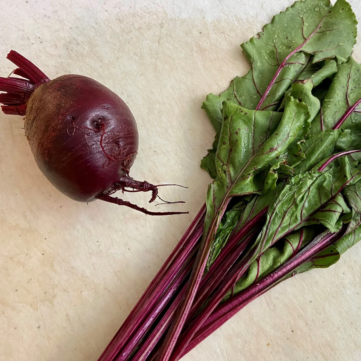 Beets — Pure Land Farm