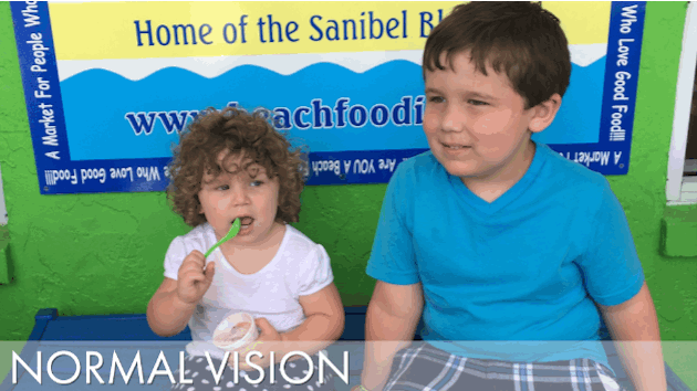 Understanding Double Vision — Vision After Brain Injury