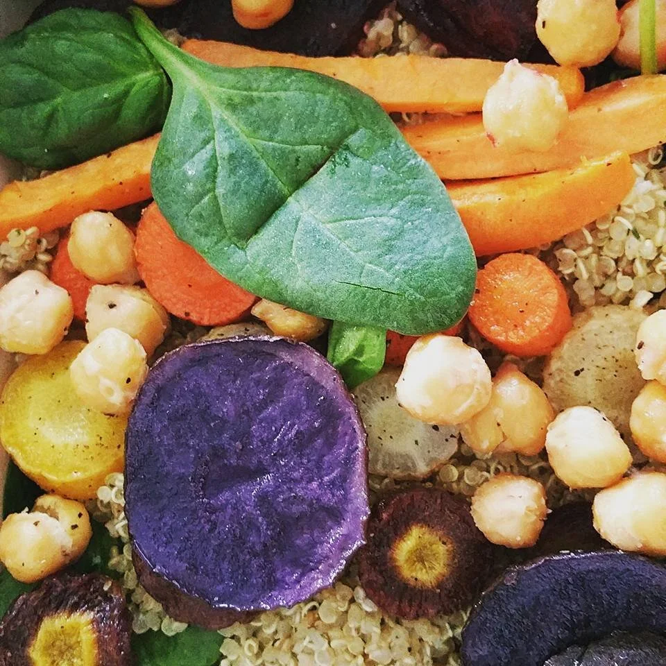 Revive & Thrive Project