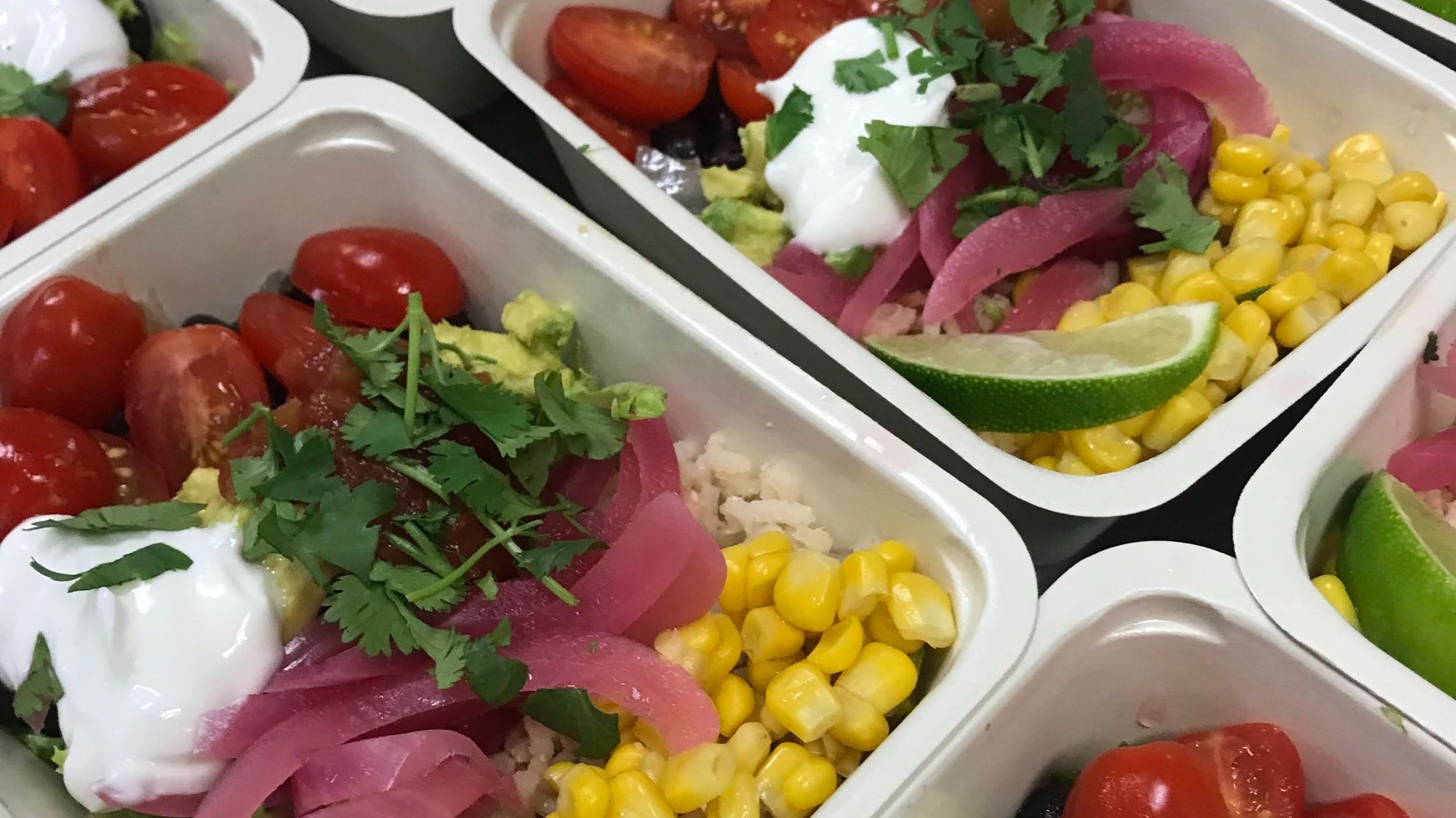 Impact — Revive & Thrive Project