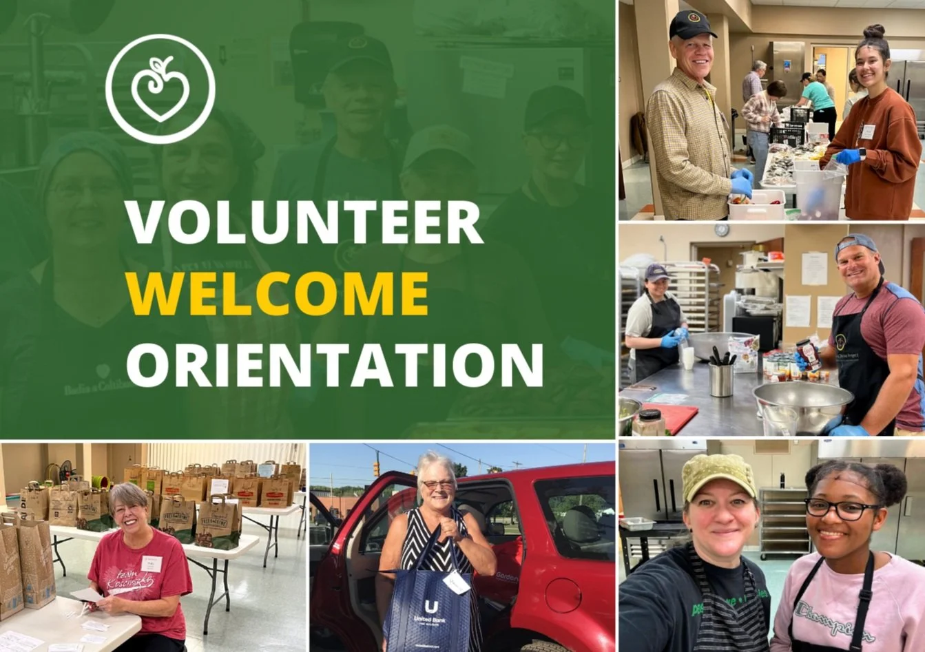 Volunteer — Revive & Thrive Project