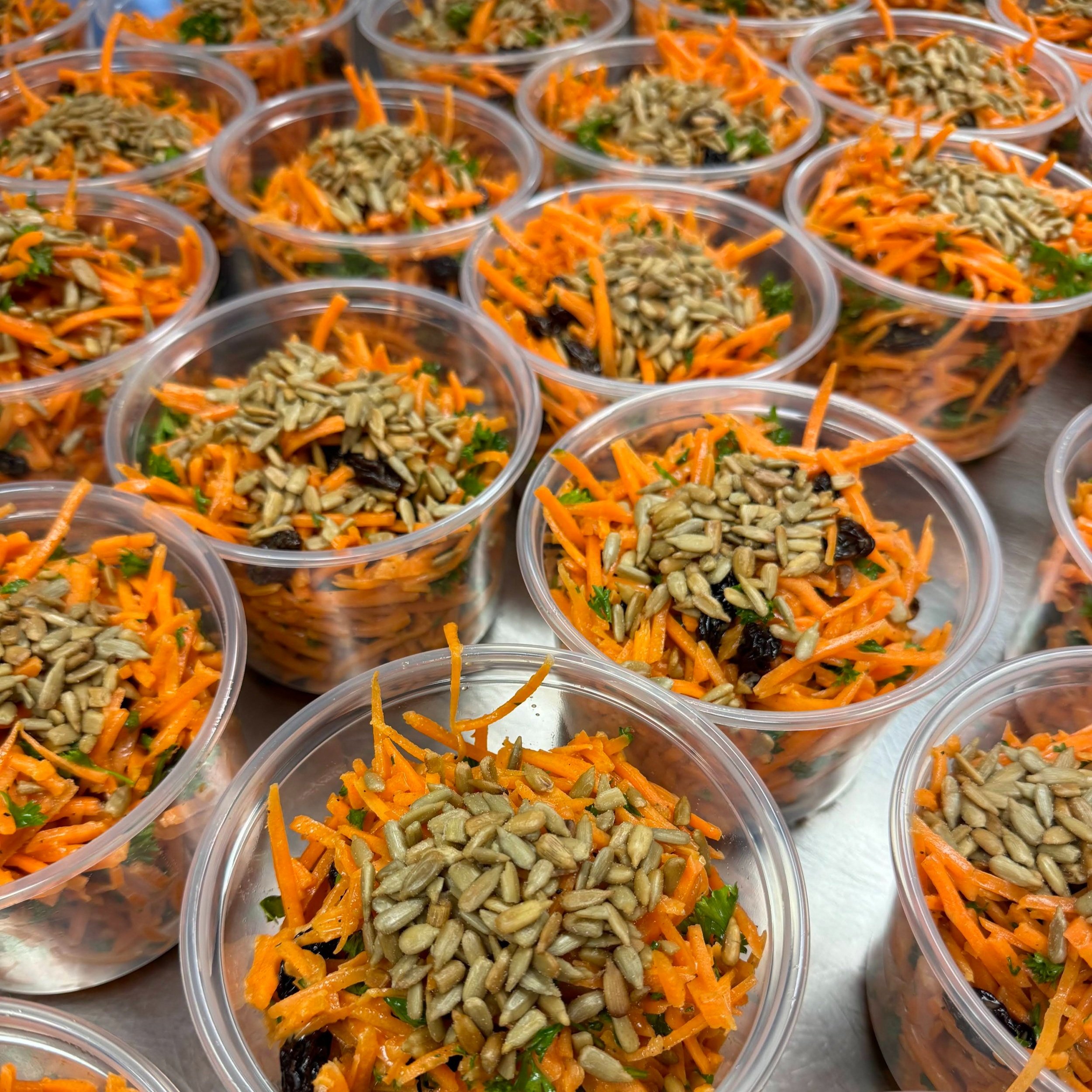 Healthcare Partner Resources — Revive & Thrive Project