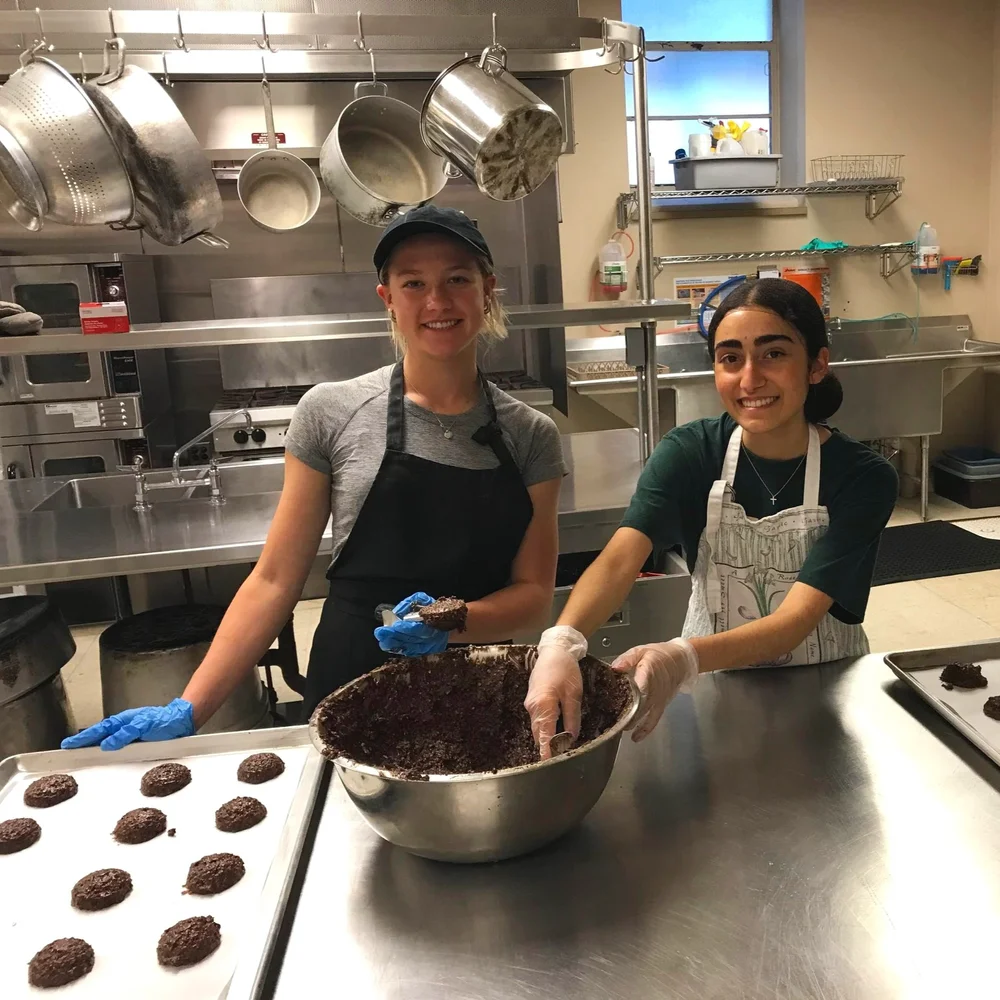 Impact — Revive & Thrive Project