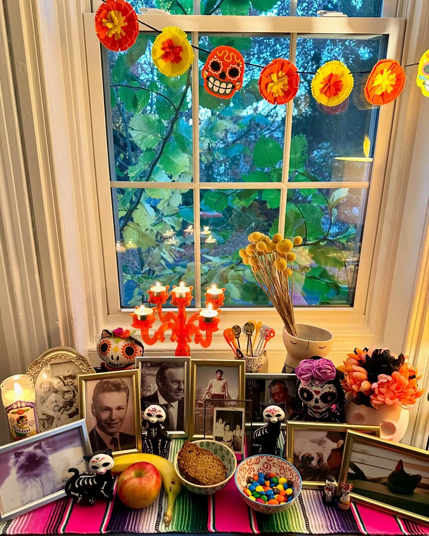 Shark Week: Gear Up with Shark Clothes, Toys, and More for Kids — Petit ...