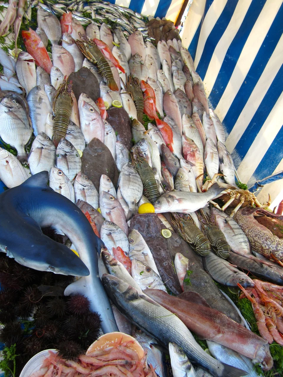Moroccan Fish Tagine