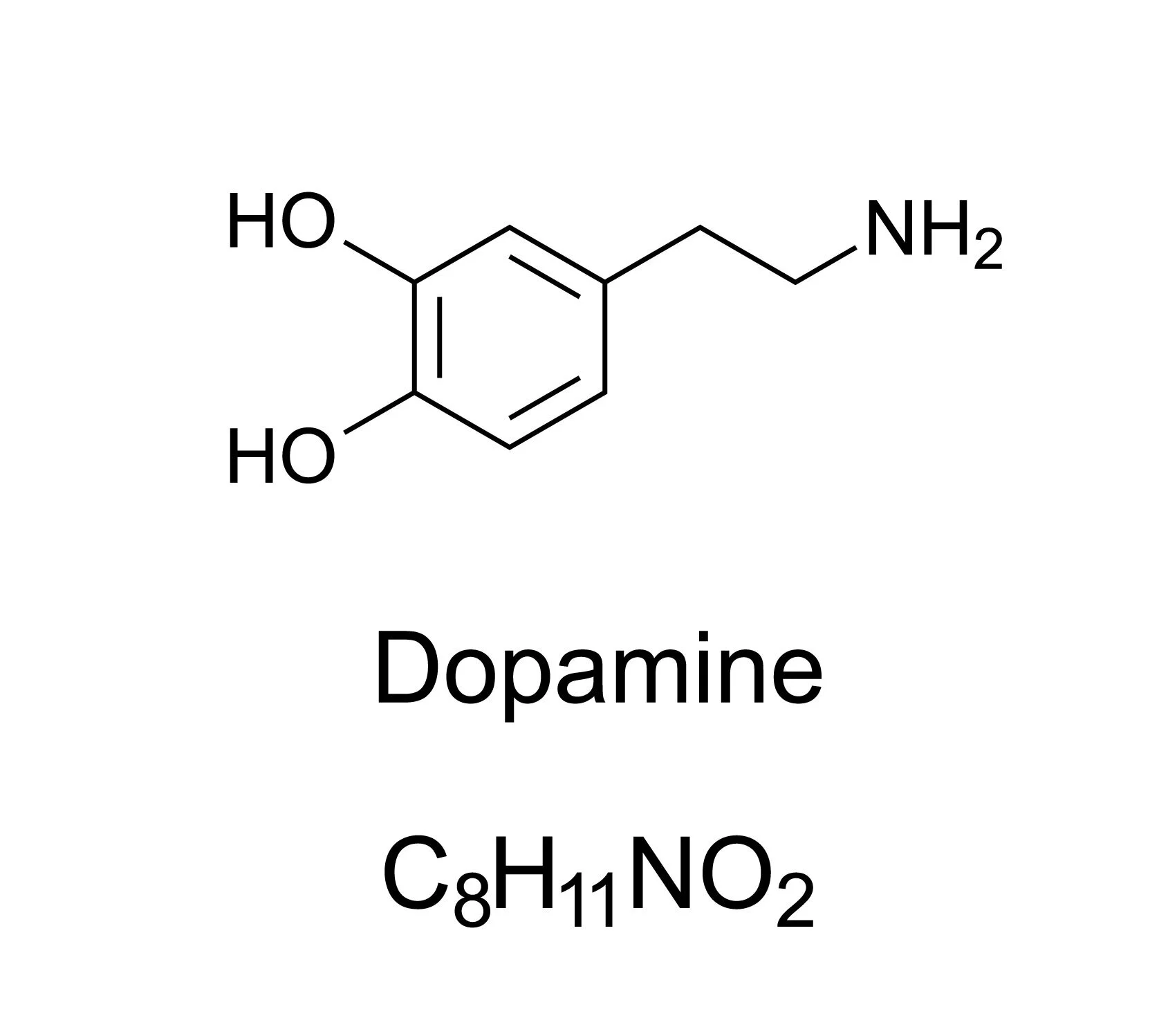 What Are Nootropics? Why Should I be Interested?