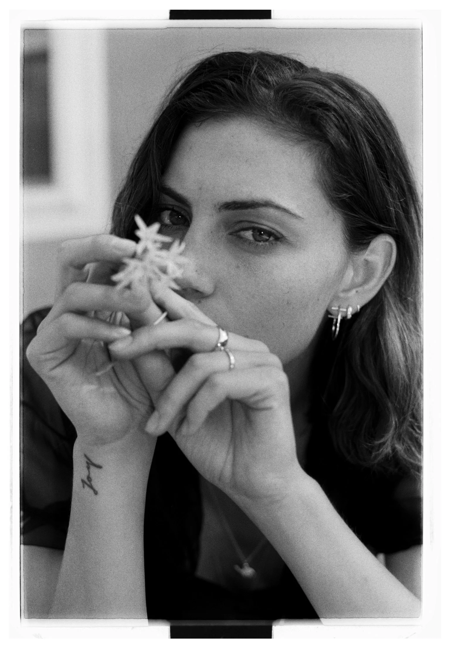 Phoebe Tonkin — James Wright Photography
