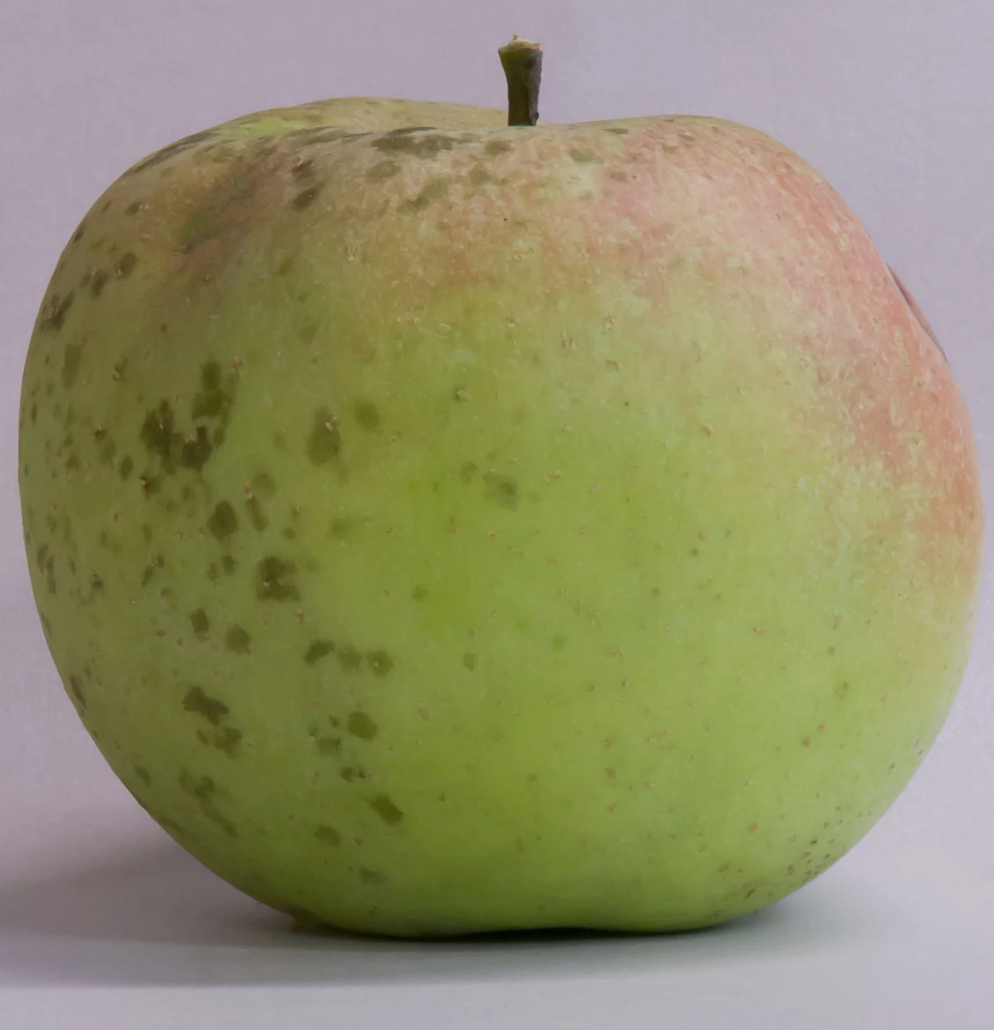 Eat Ugly Apples — Door Creek Orchard