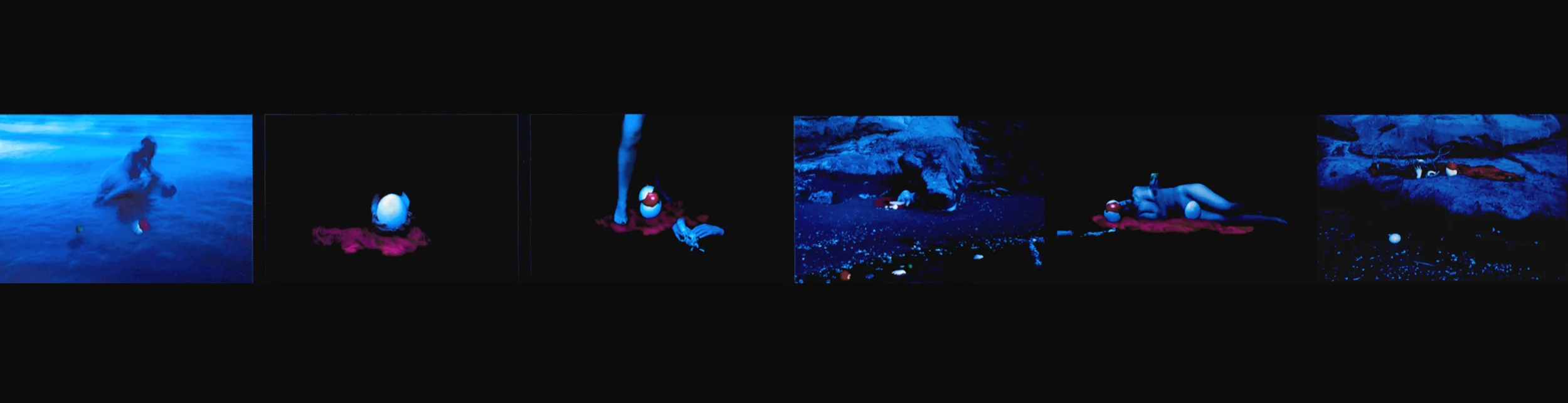 Bioluminescence Life Of Pi