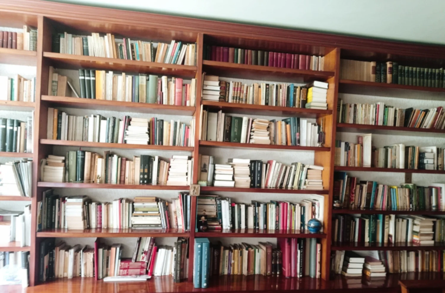 Blog — Martha Robles