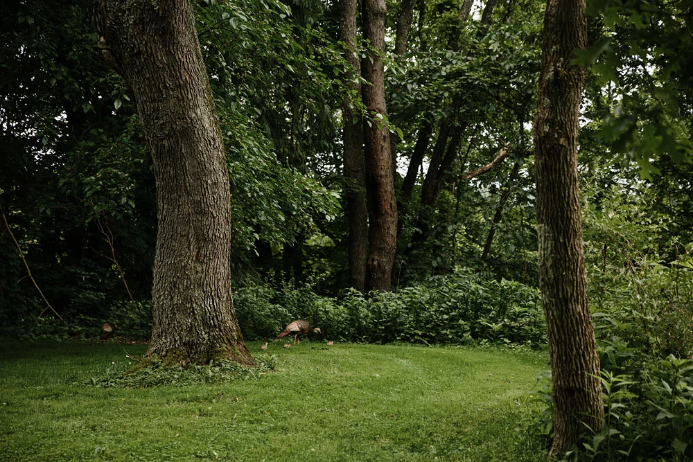 Chelsea + Ryan's Beautiful Rainy Wedding at Hines Hill Conference ...