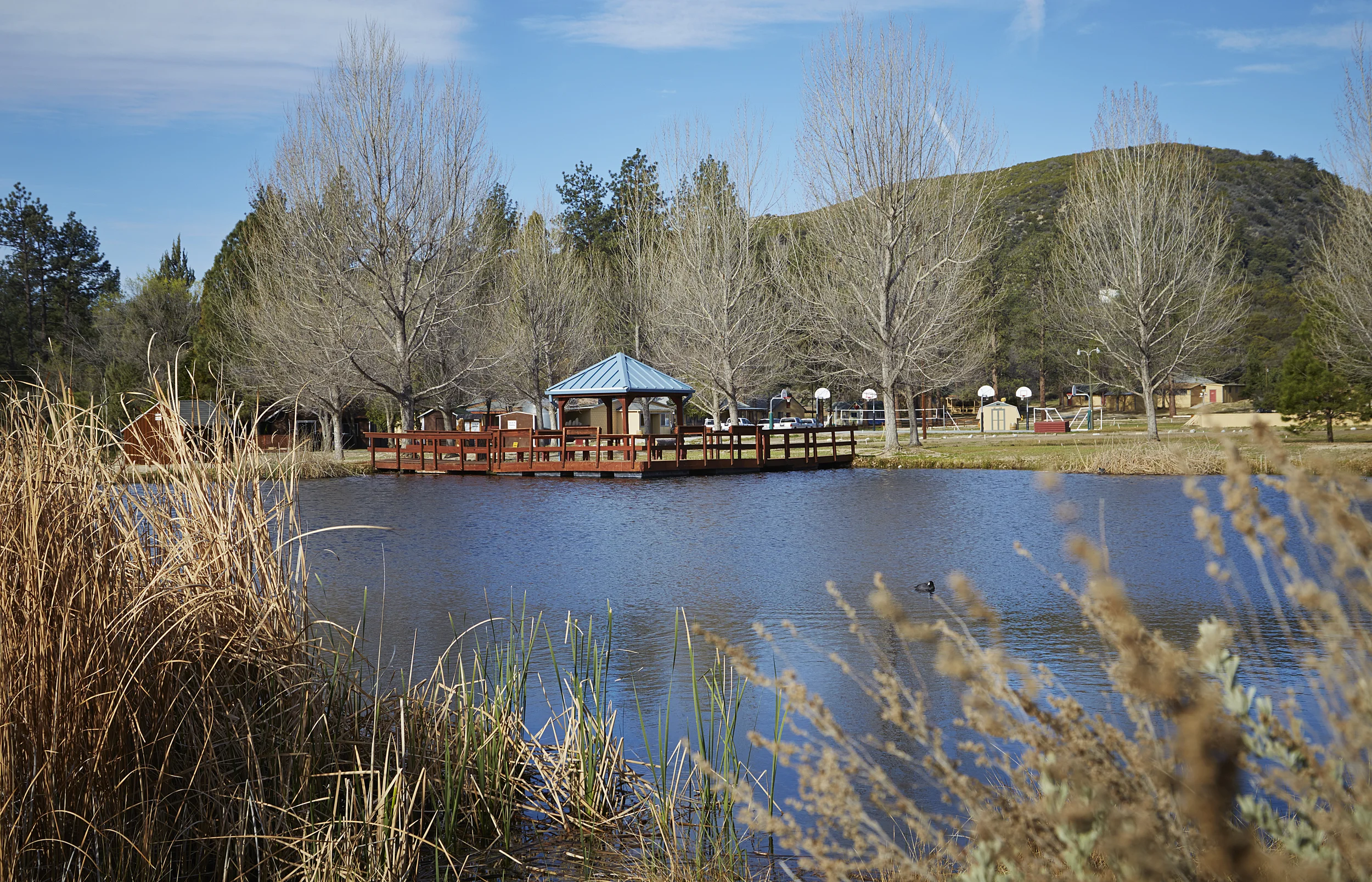 Camp Ronald McDonald — Davy Architecture, Inc.
