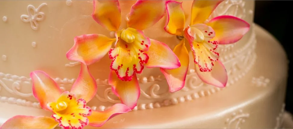 Edible Art Bakery & Desert Cafe, Raleigh, NC