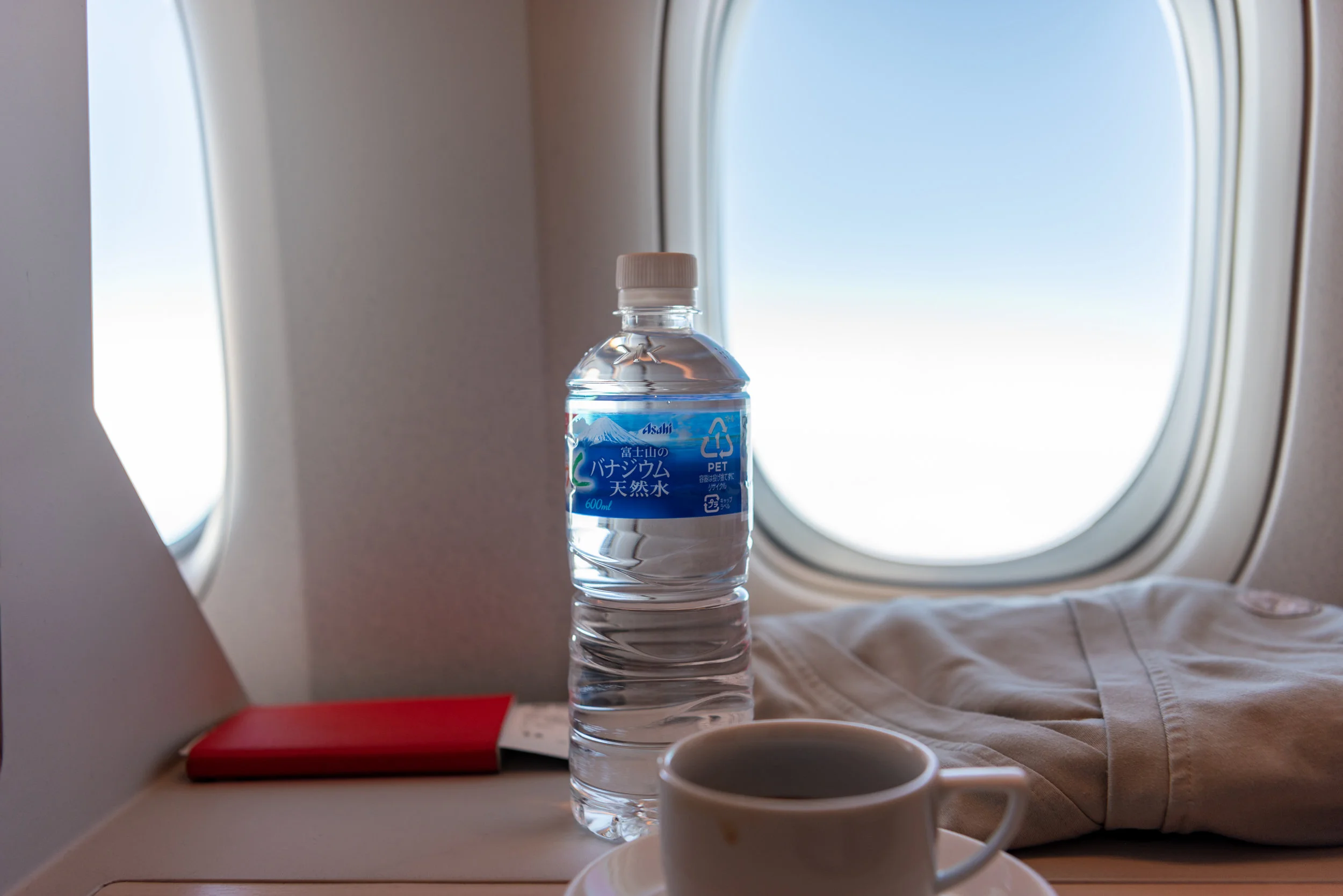 Trip Report - Japan Airlines Business Class SKY SUITE III JL37 - HND to ...