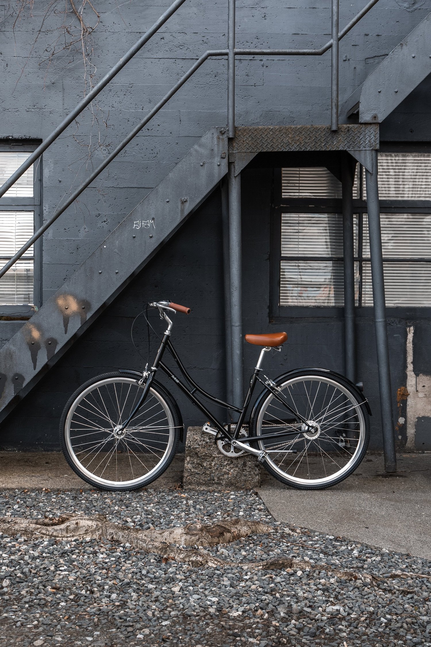 Step-Through Bike (Black) — Lochside Cycles